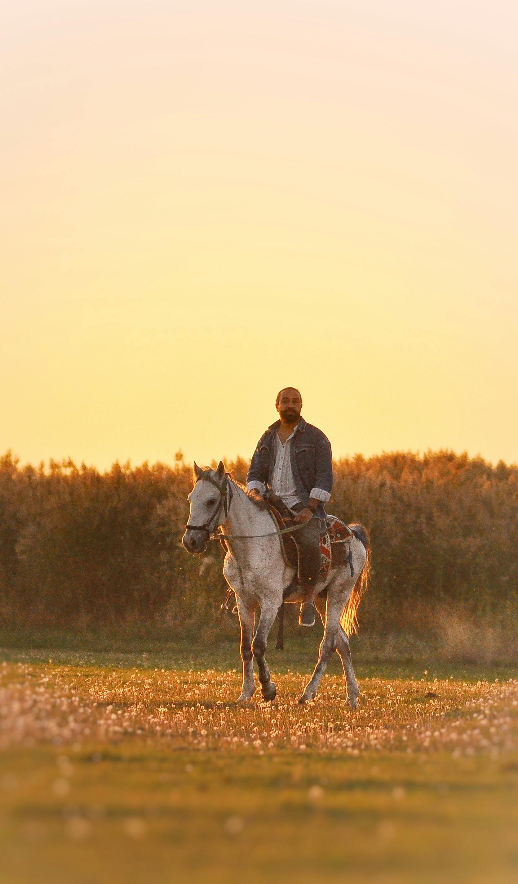 Photo of Person Riding a Horse · Free Stock Photo