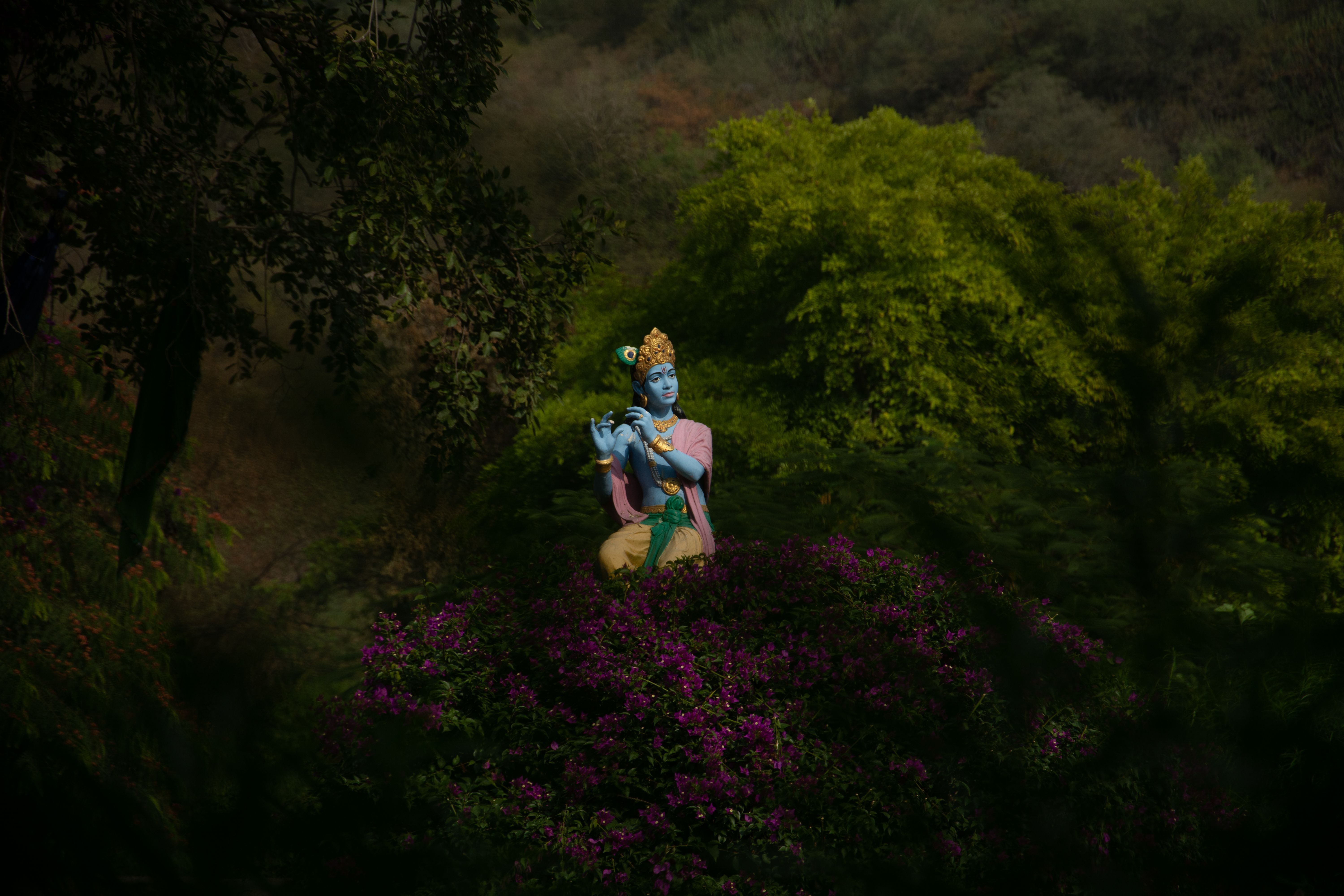 Hindu Goddess Statue in Forest · Free Stock Photo
