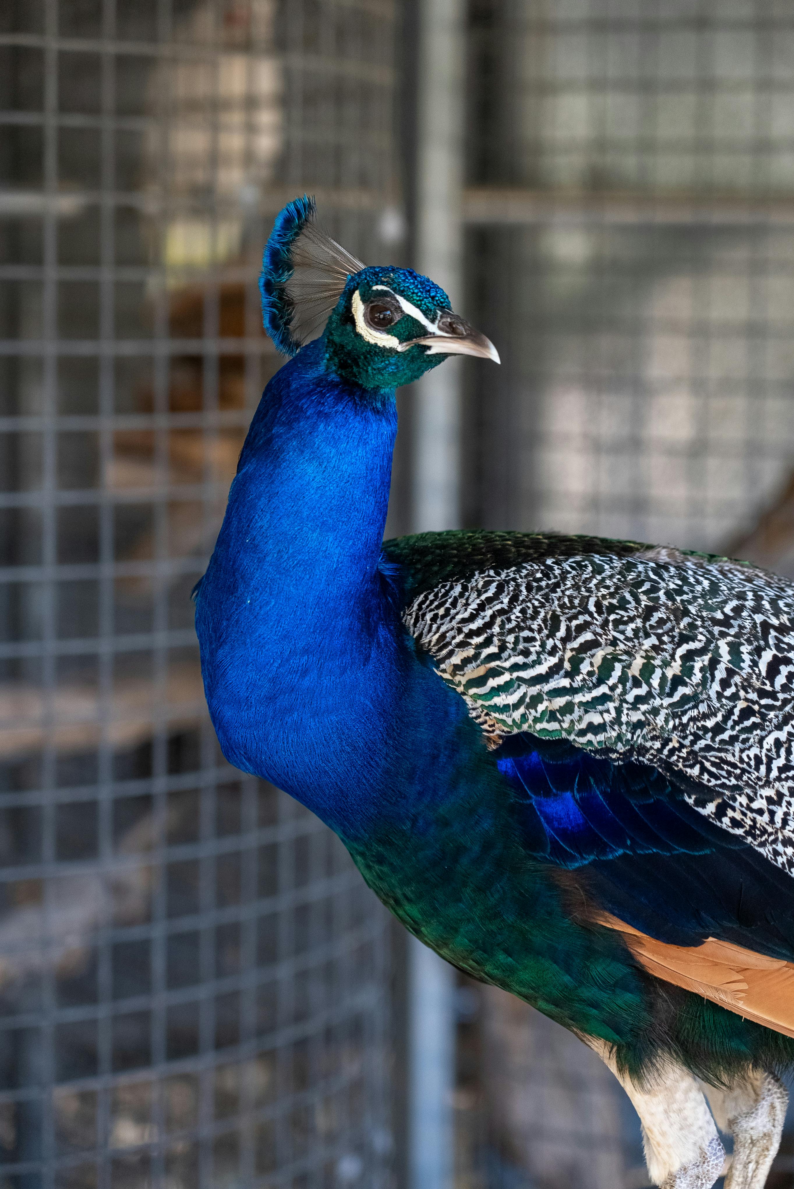 Zane Holmes - 摄影