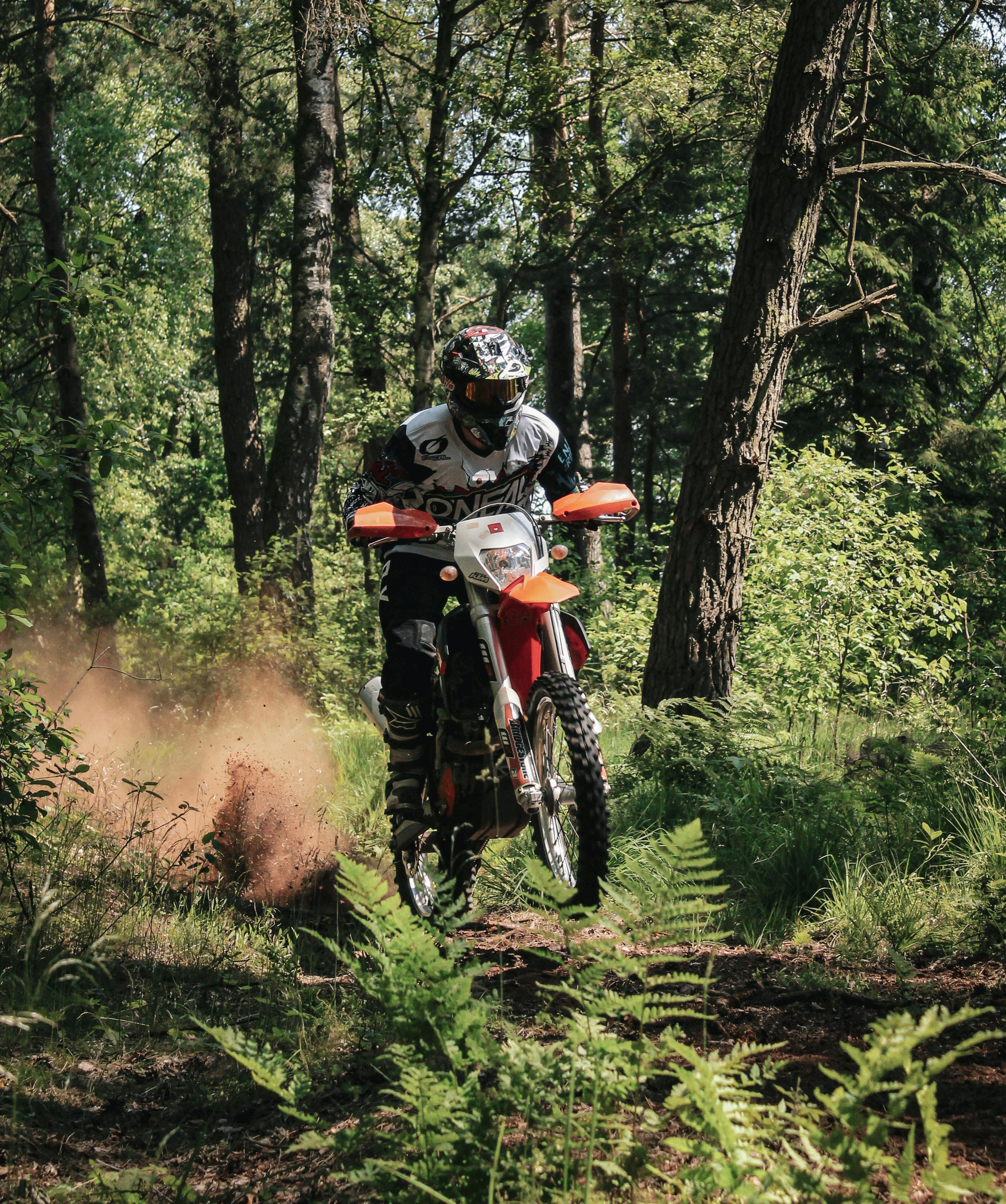 Biker Riding Motorcycle through Forest · Free Stock Photo