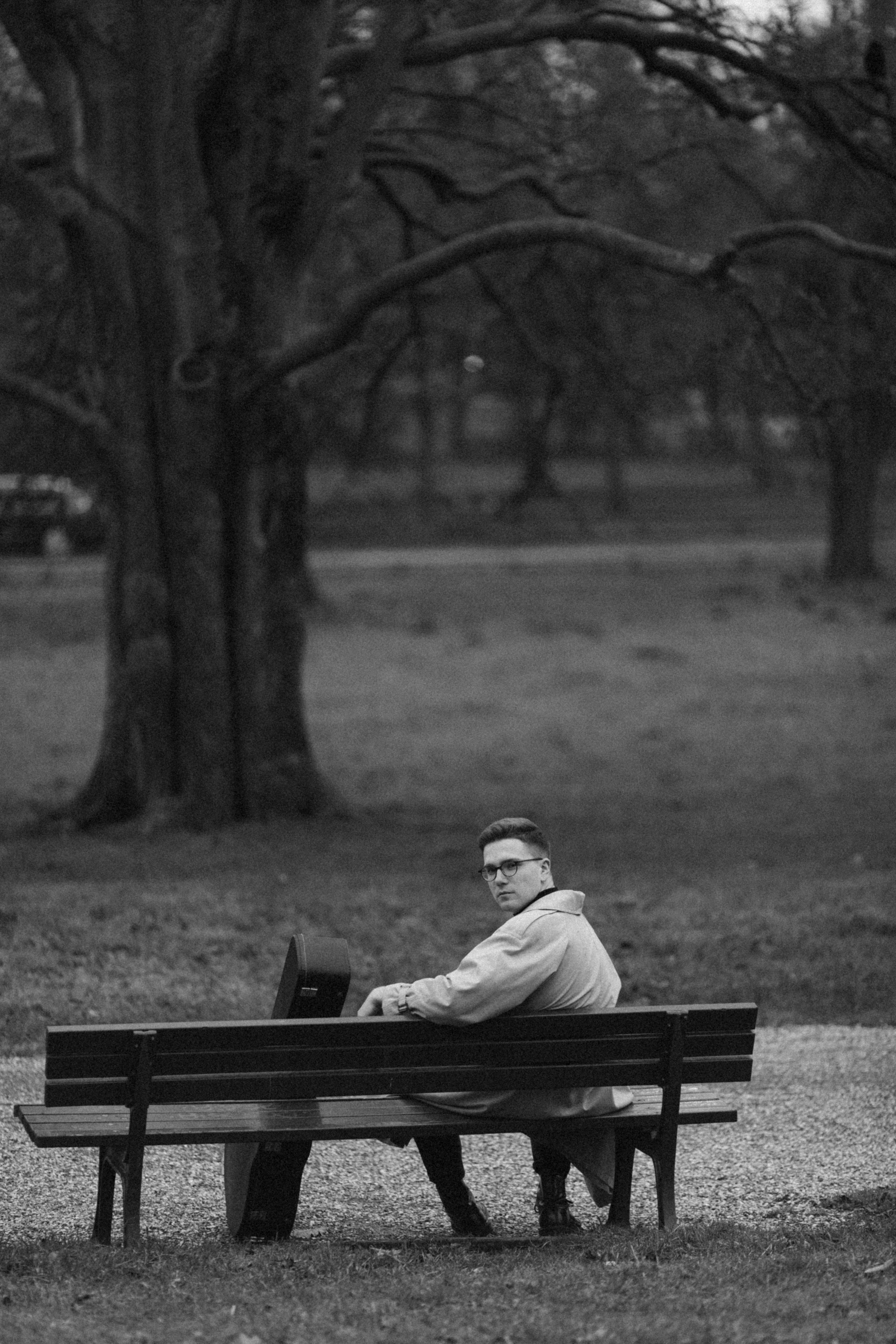 Foto de stock gratuita sobre @al aire libre, al aire libre, arboles ...