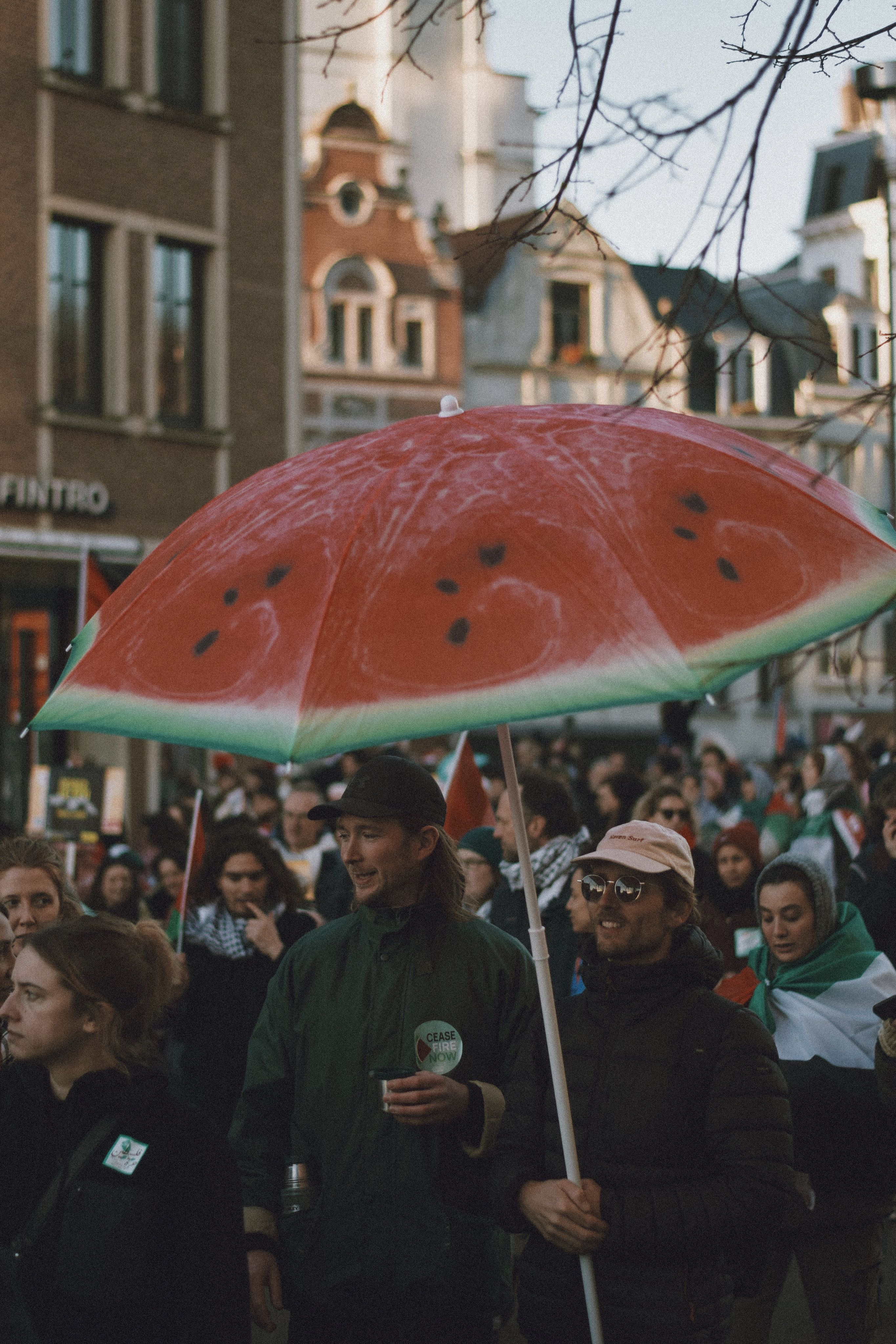 Watermelon Bd Photos, Download The BEST Free Watermelon Bd Stock Photos ...