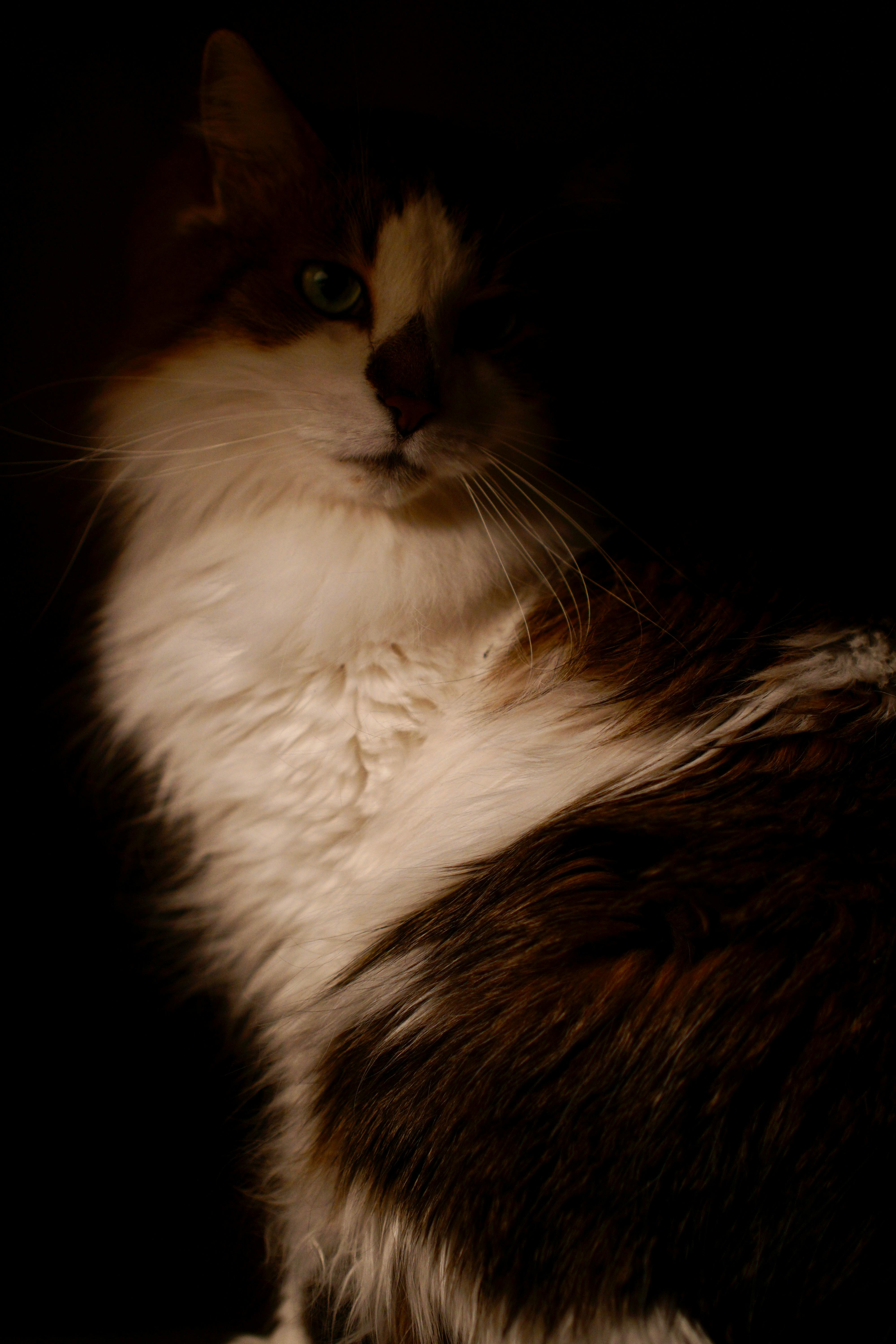 Eric Joseph – Fotografia