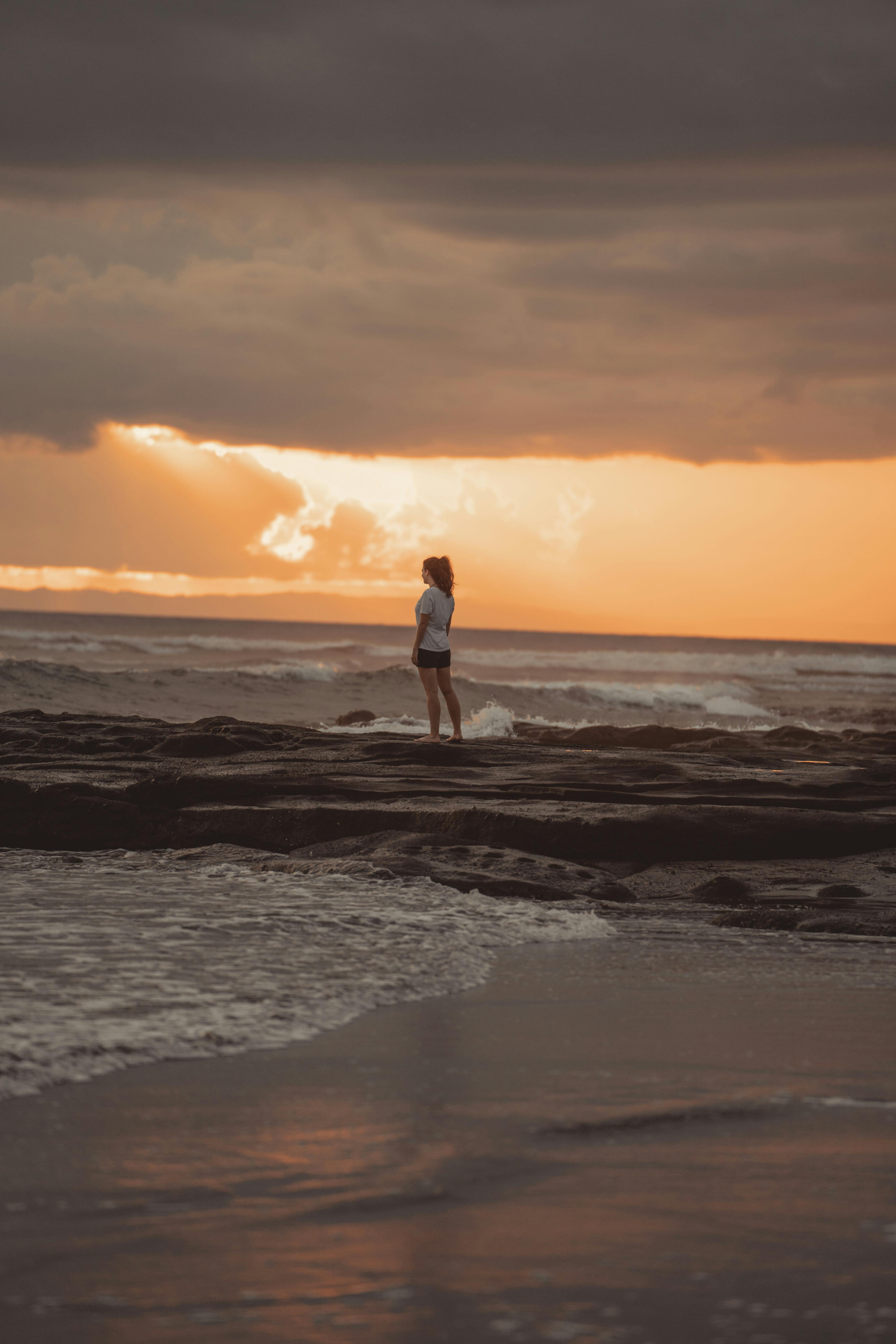 Back View of Woman on Sea Shore at Sunset · Free Stock Photo