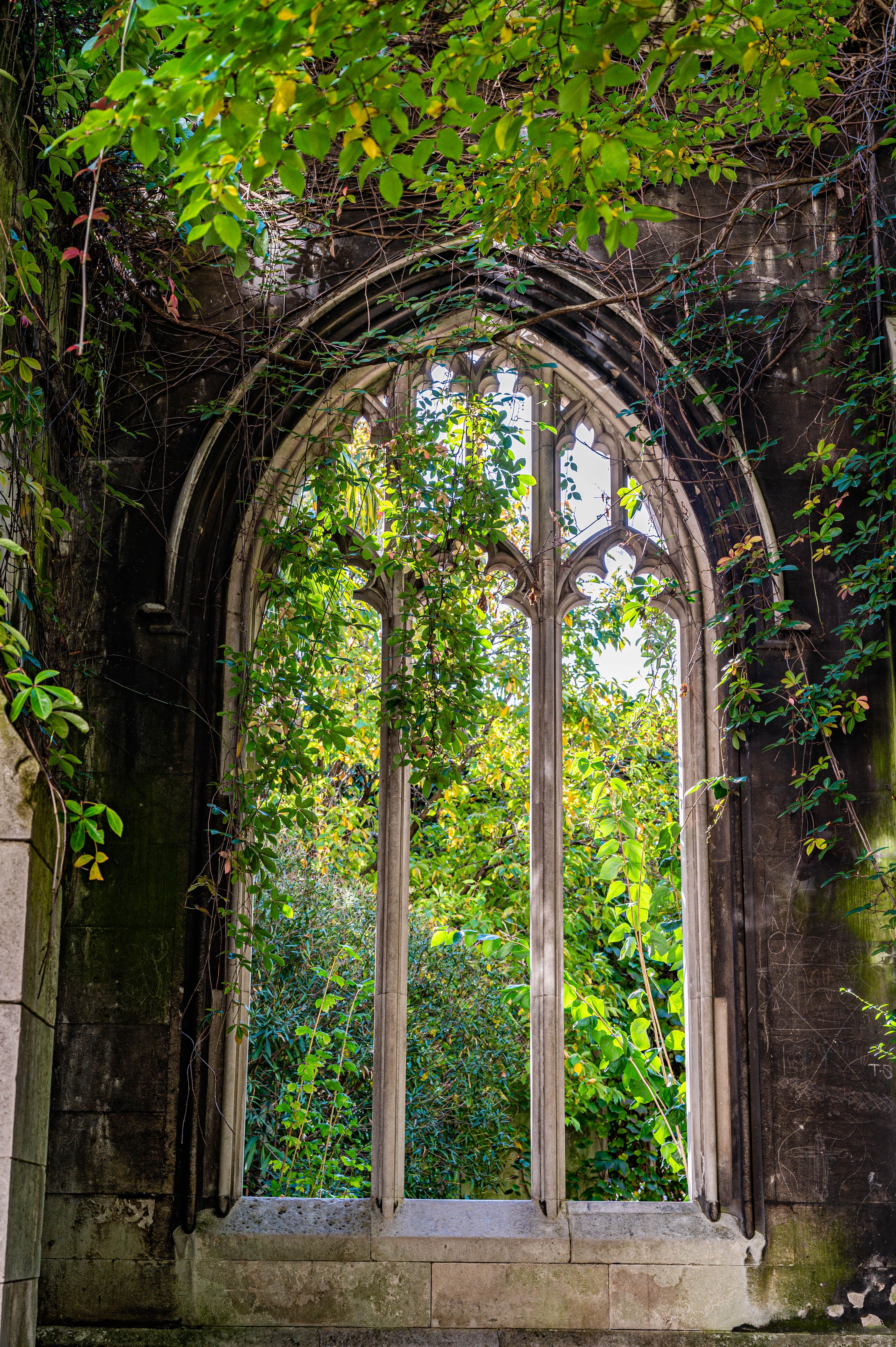 David Stanfield - Photography