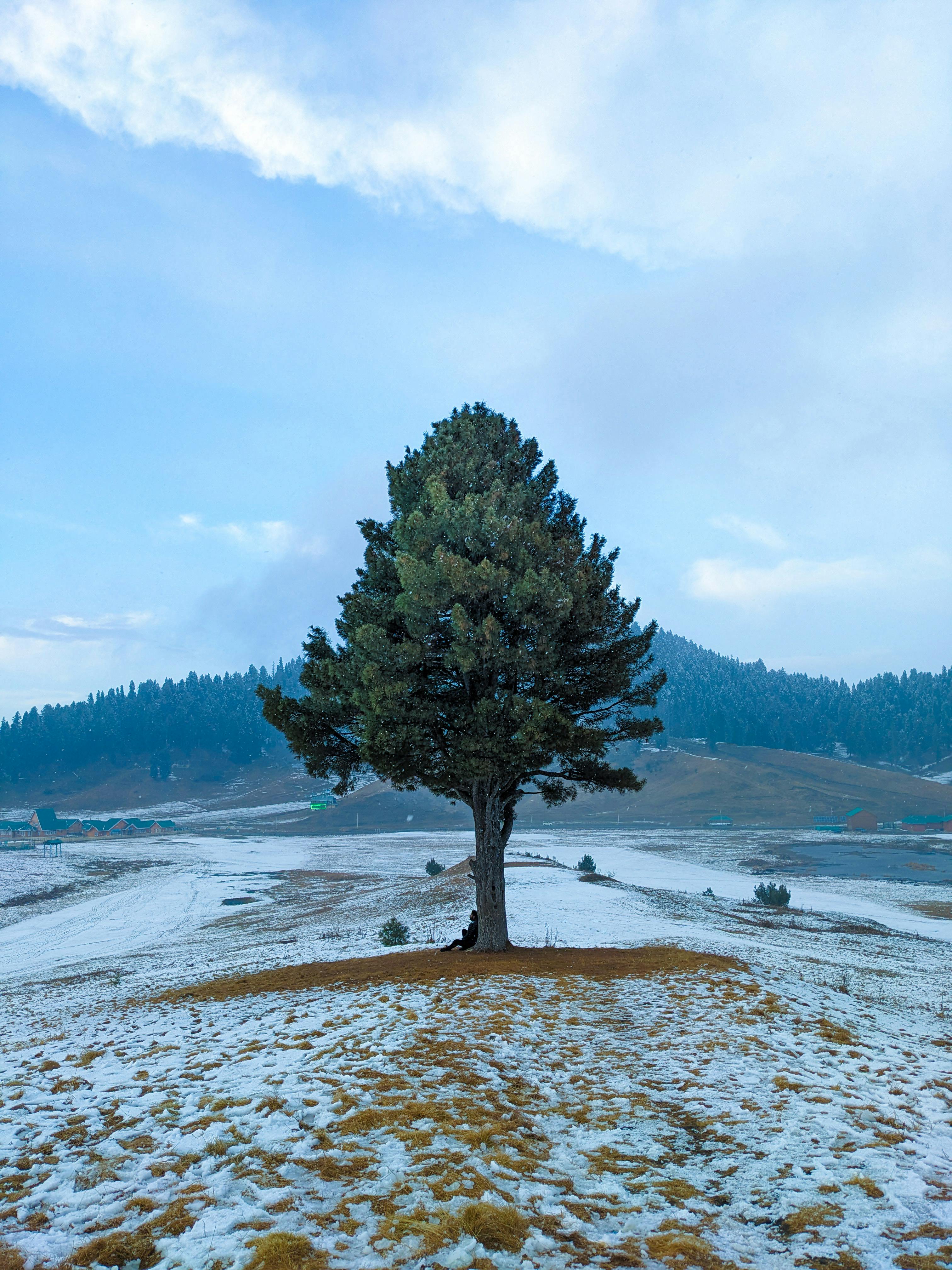 Tall Folder Photos, Download The BEST Free Tall Folder Stock Photos ...