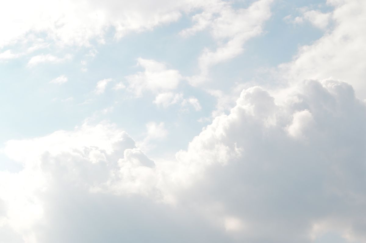100,000+ Best Website Background Images · 100% Free Download · Pexels ...