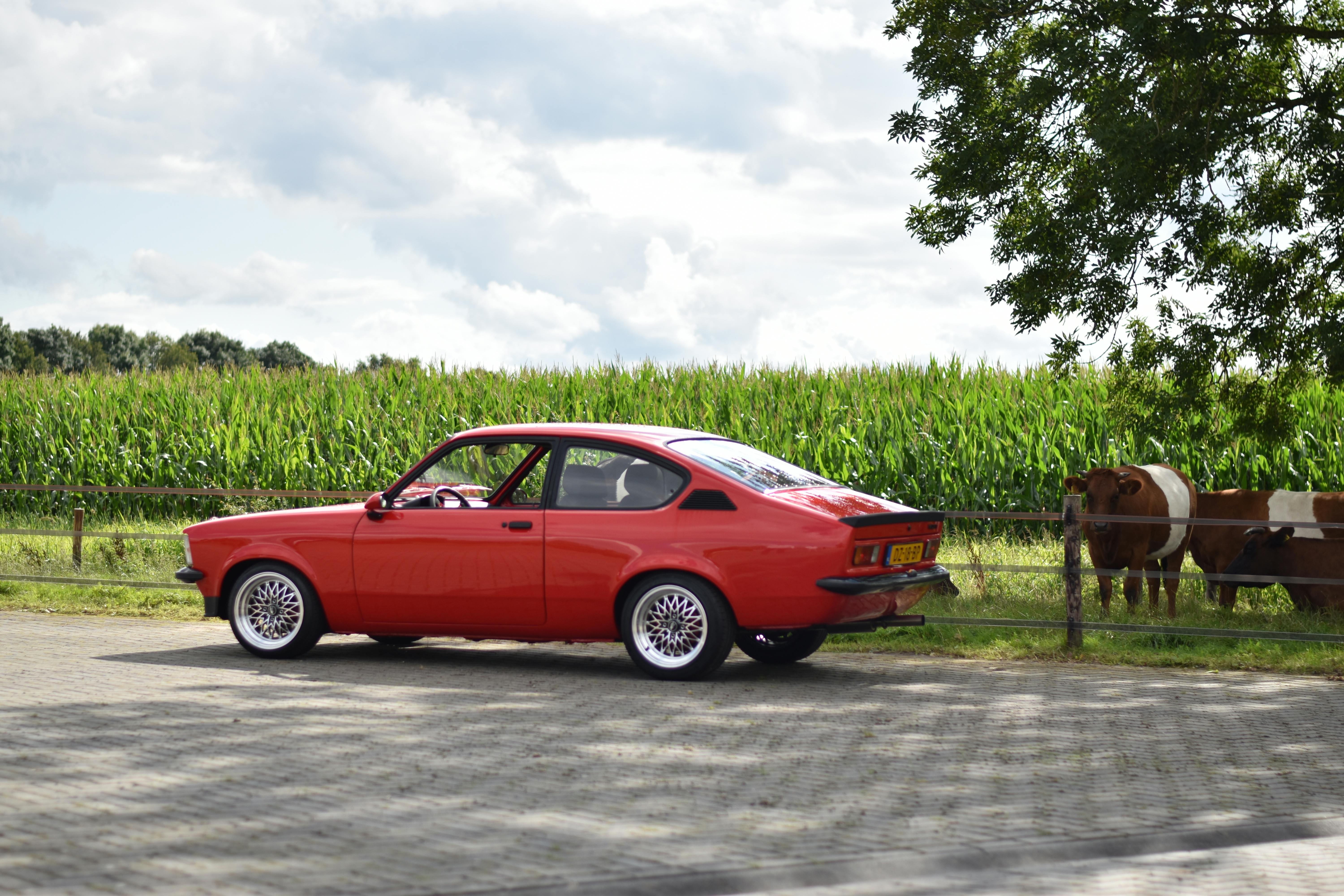 Kadett Photos, Download The BEST Free Kadett Stock Photos & HD Images