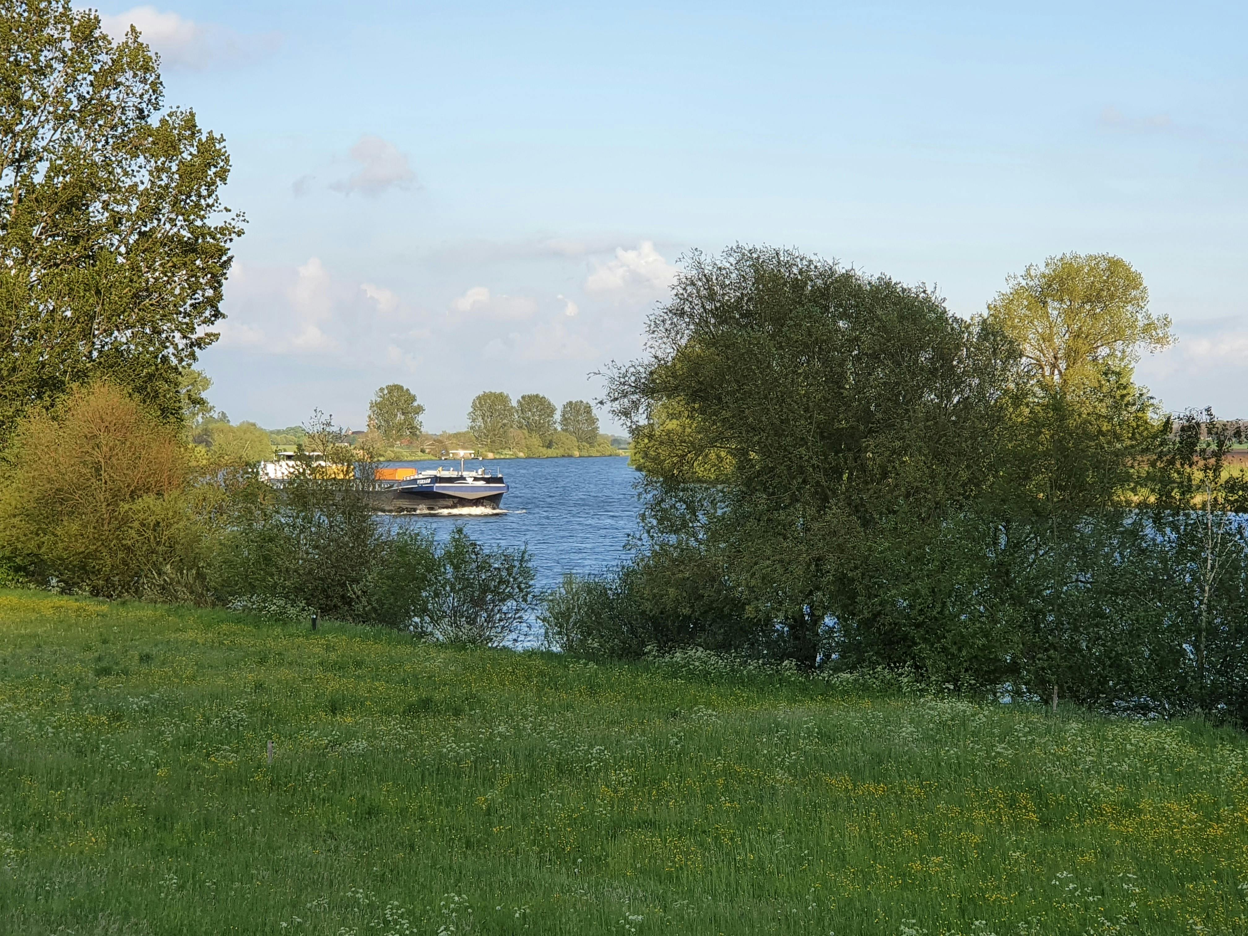 Monique Witlam - 攝影