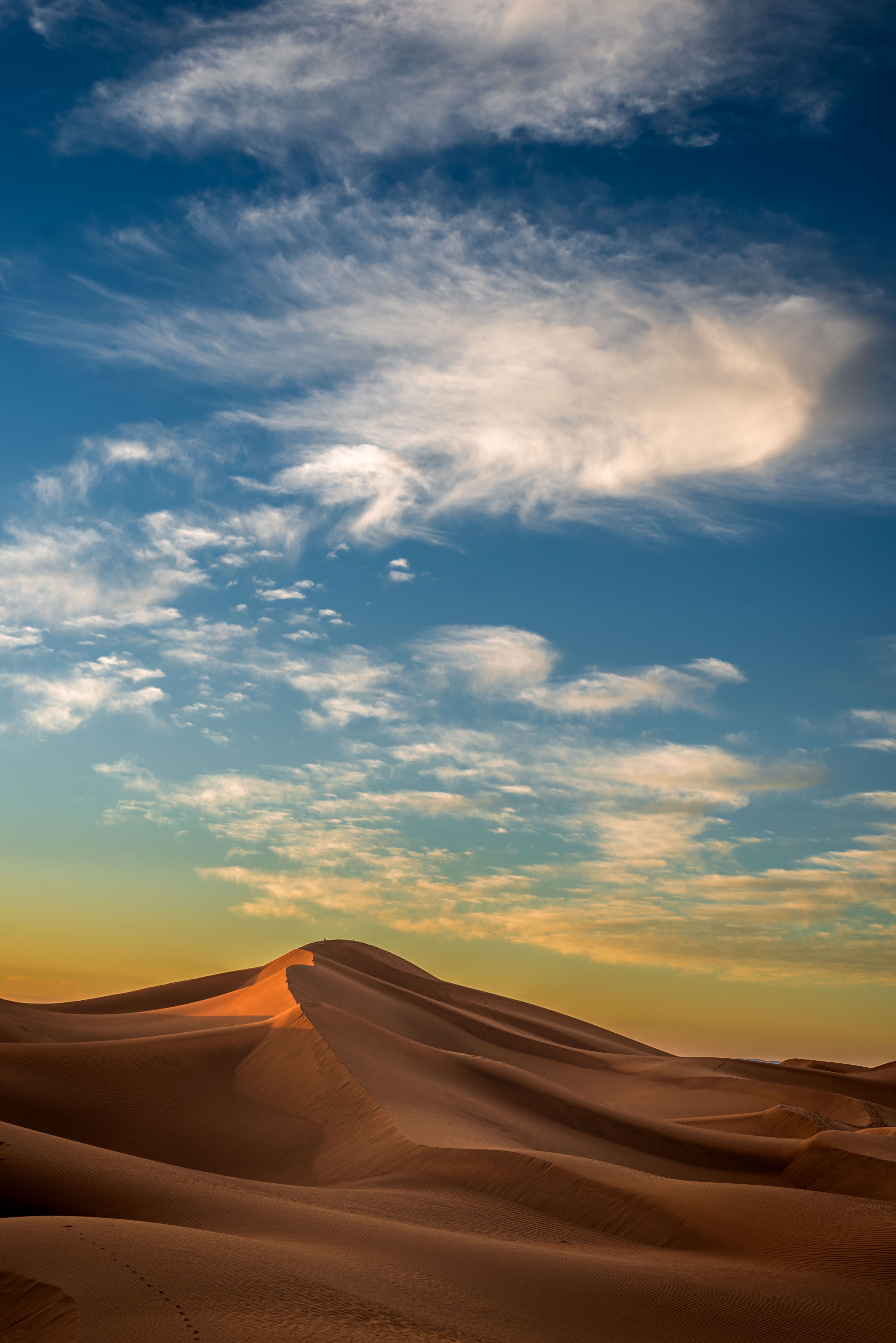 Desert Field · Free Stock Photo