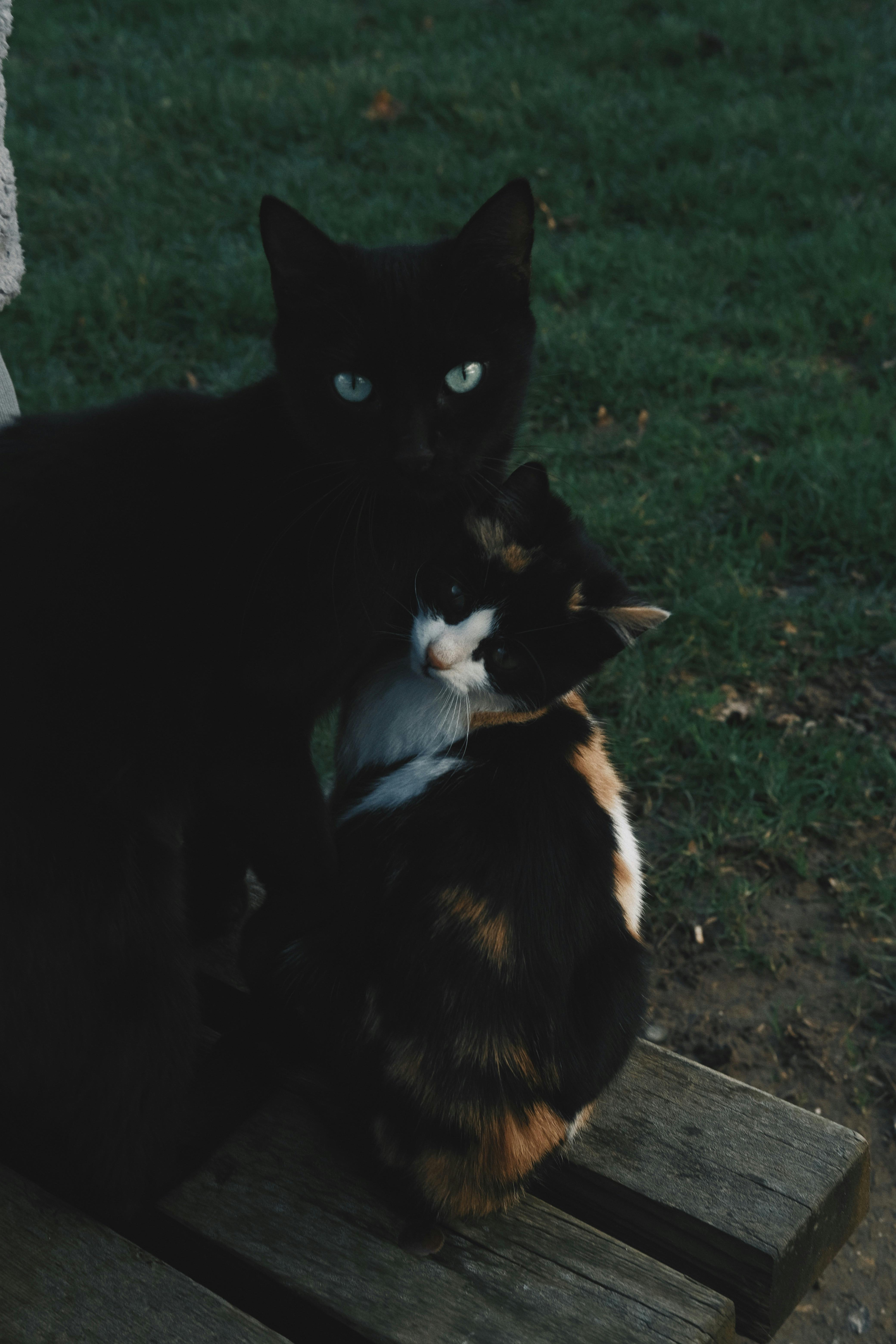 Eda Yurtkuran - Photography