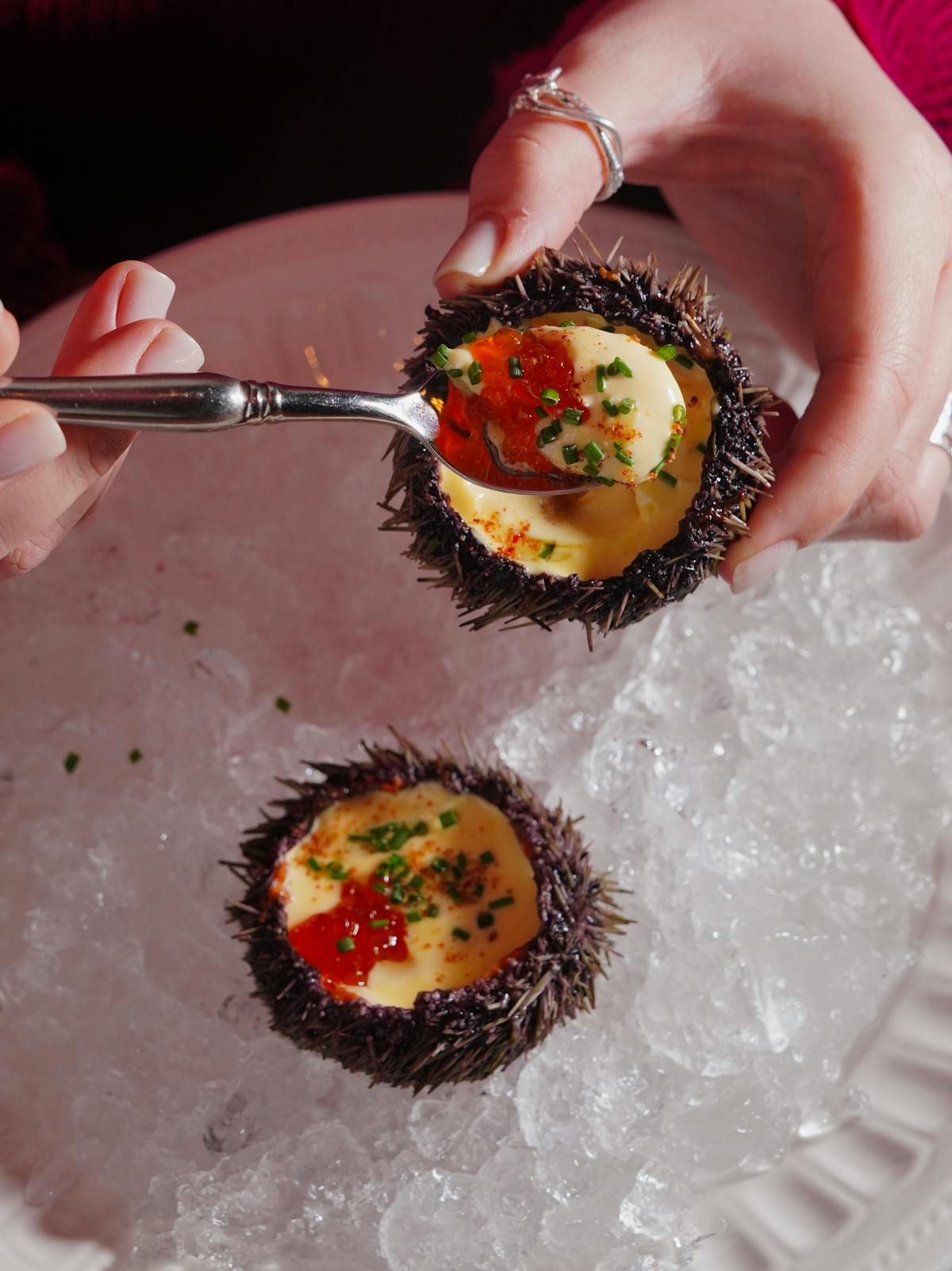 Eat Pudding Photos, Download The BEST Free Eat Pudding Stock Photos ...