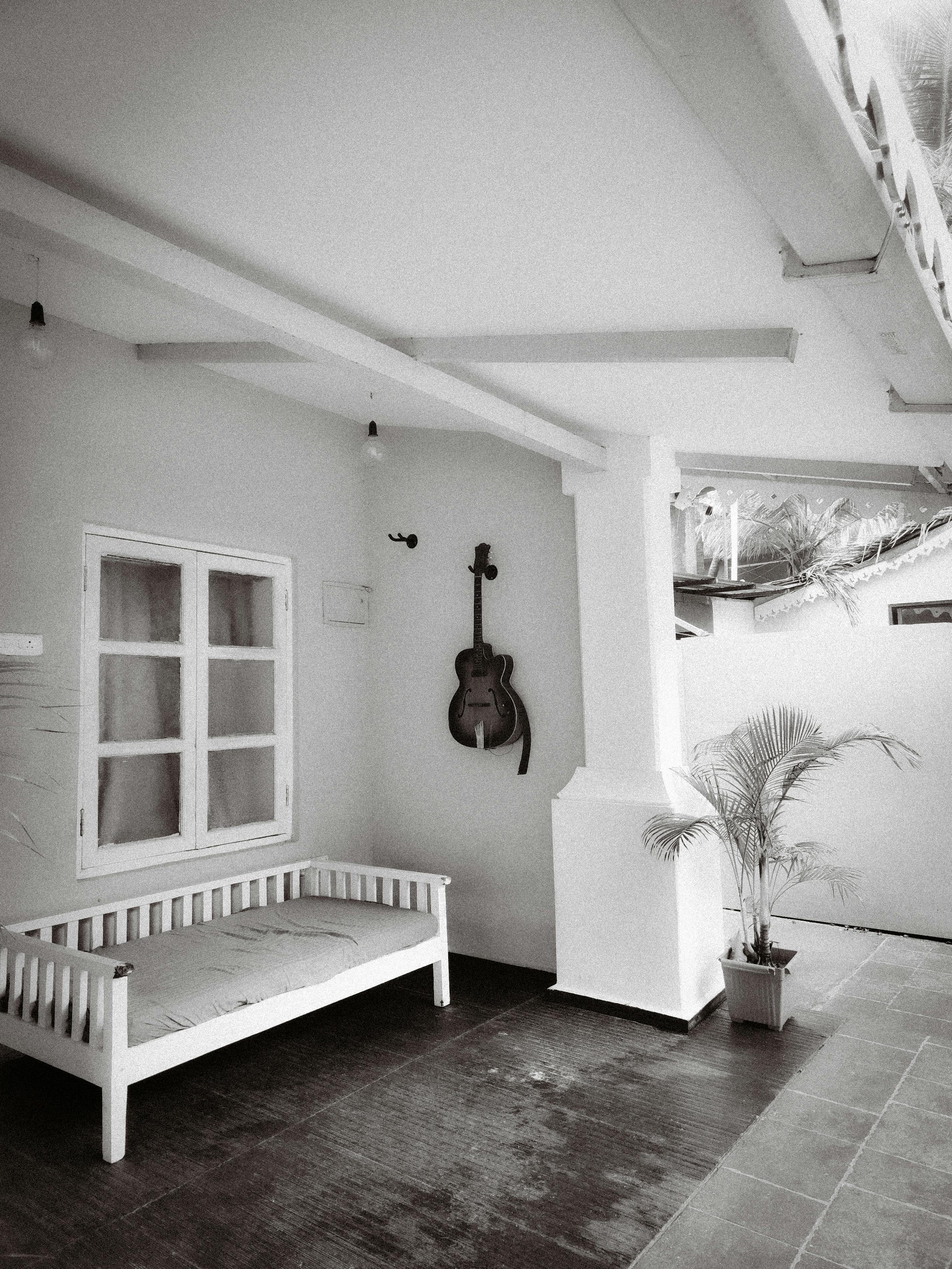 Rostliny Rest Photos, Download The BEST Free Rostliny Rest Stock Photos ...