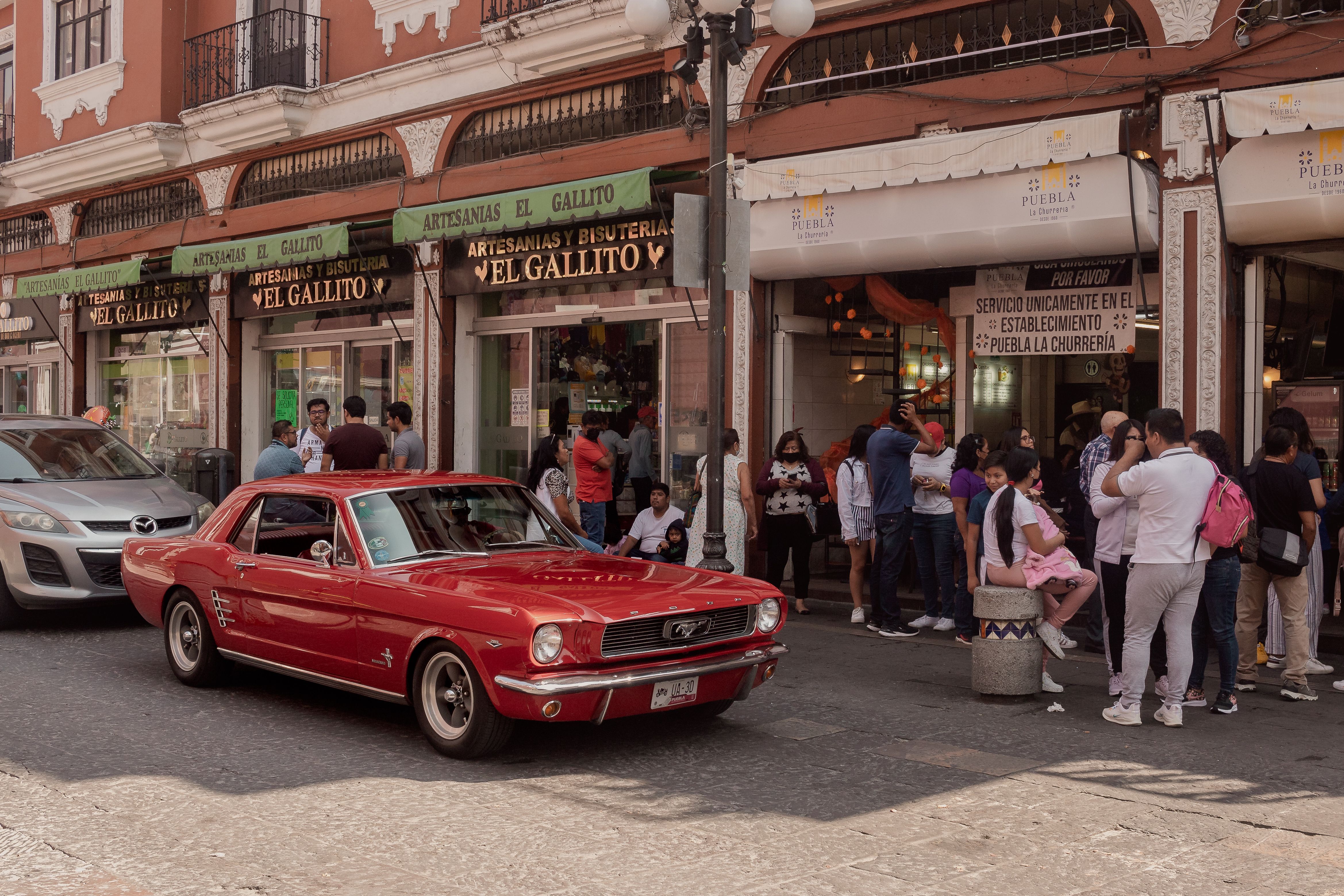 Red Ford Mustang GT on Street at Night · Free Stock Photo