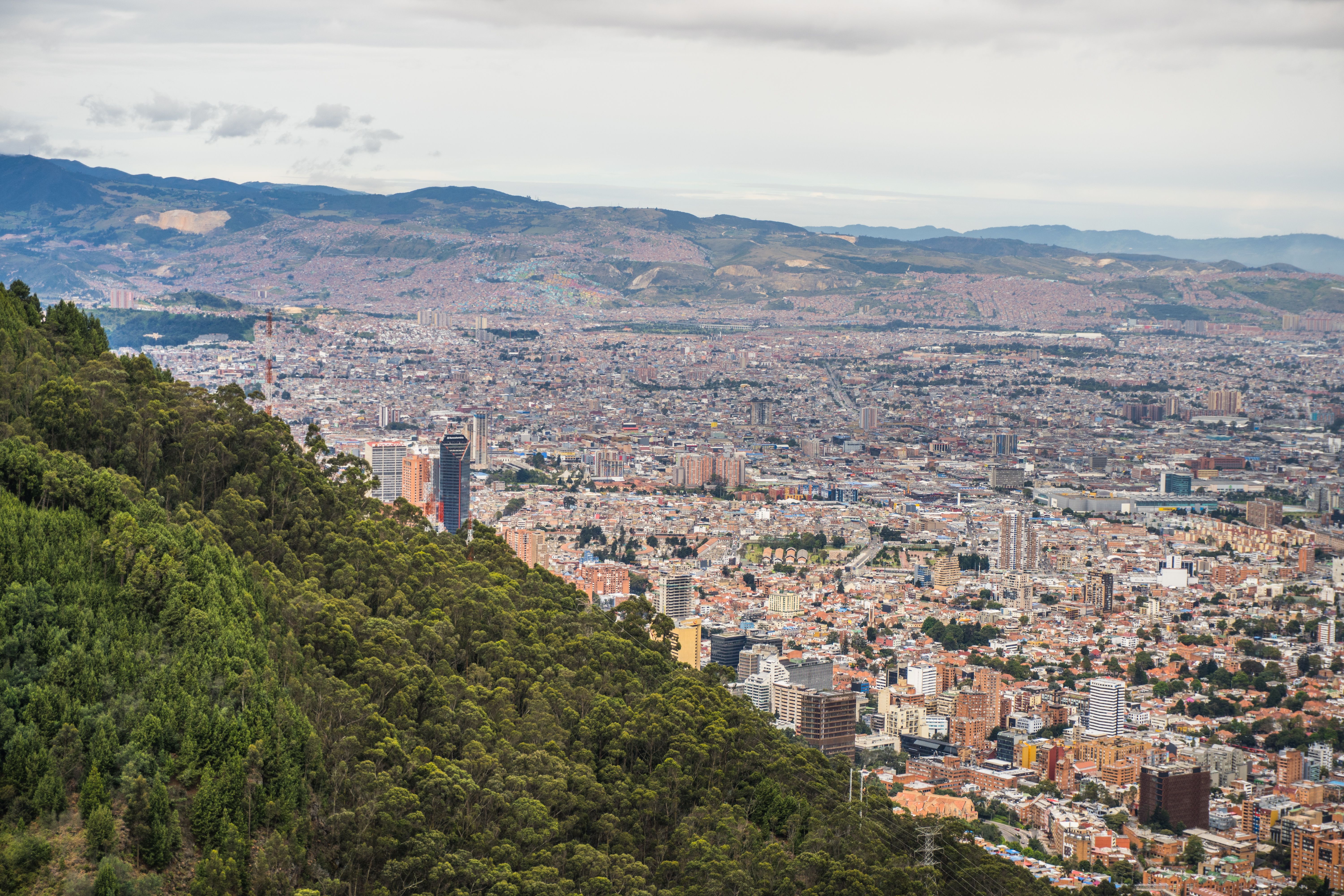 Forest on Hill over Bogota City · Free Stock Photo