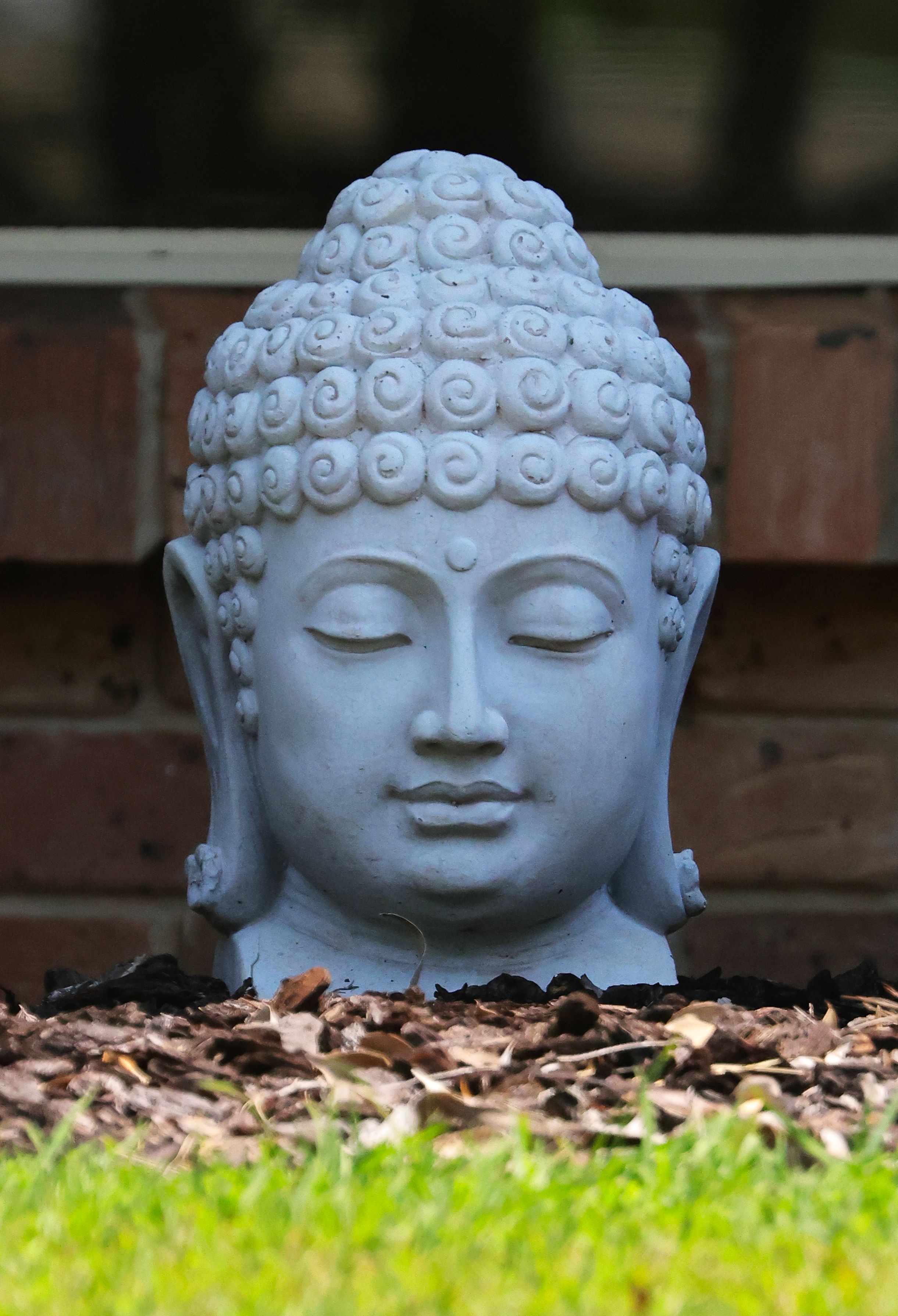 Buddha Head Statue · Free Stock Photo