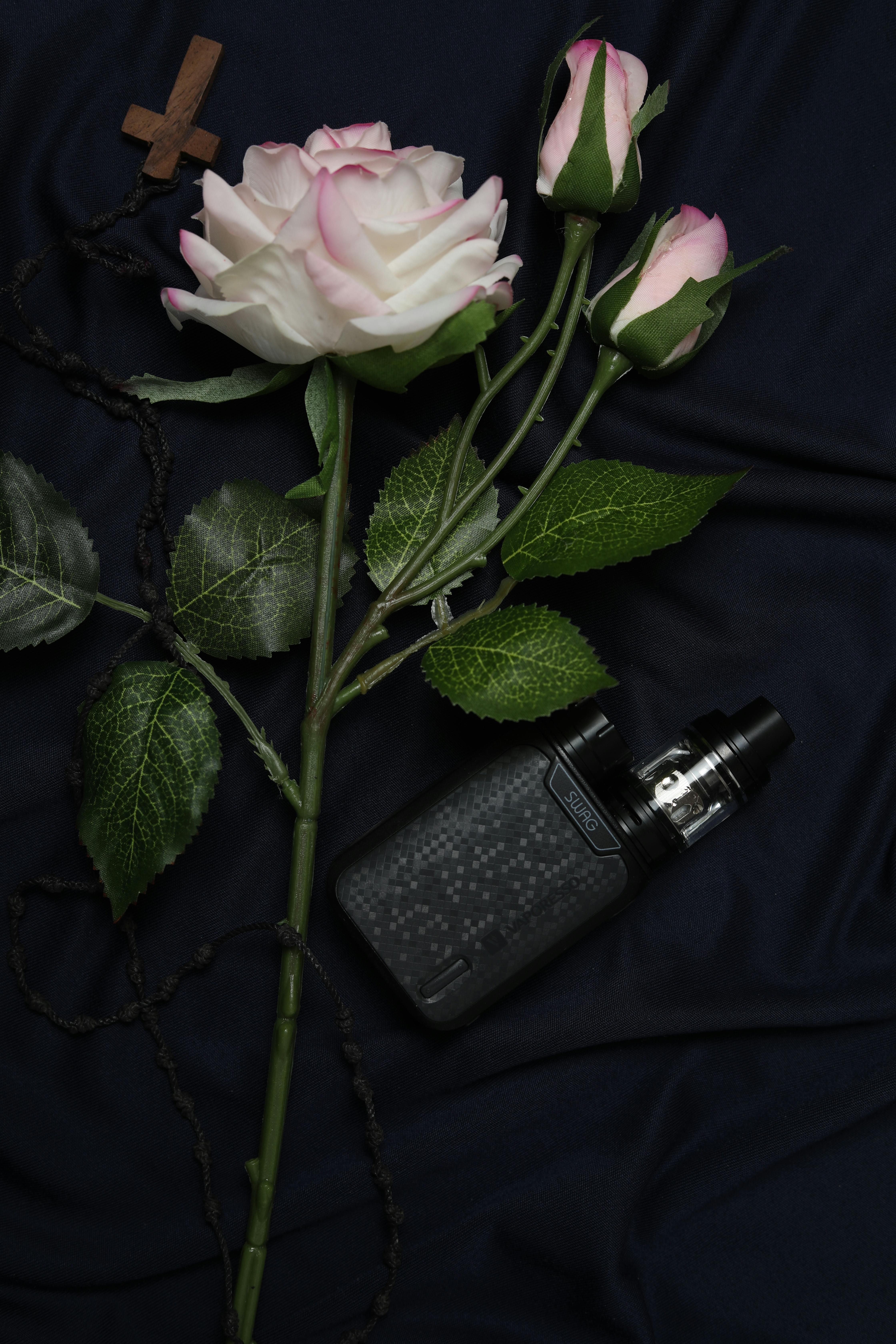 Vape Stem Photos, Download The BEST Free Vape Stem Stock Photos & HD Images