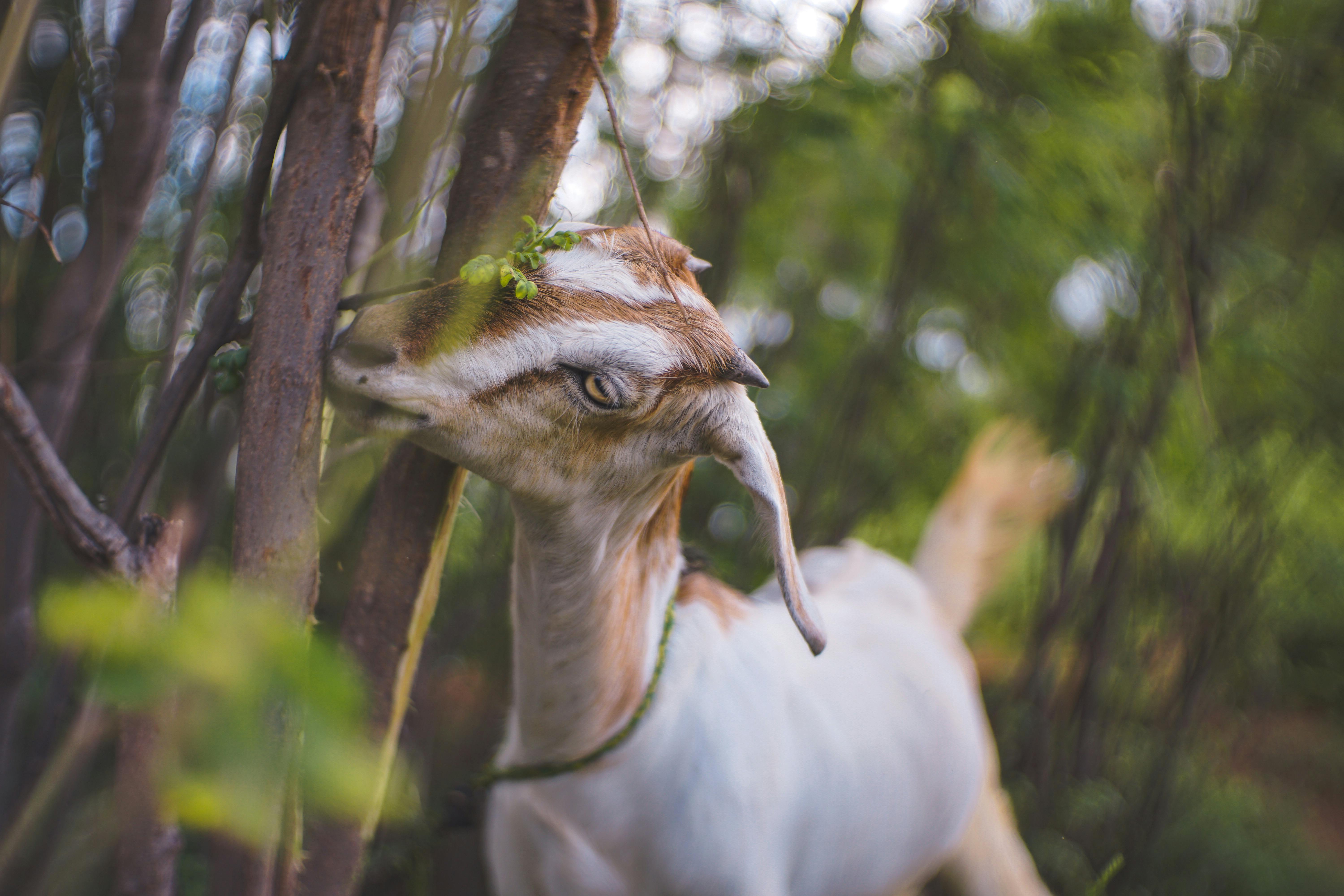 Gost Photos, Download The BEST Free Gost Stock Photos & HD Images