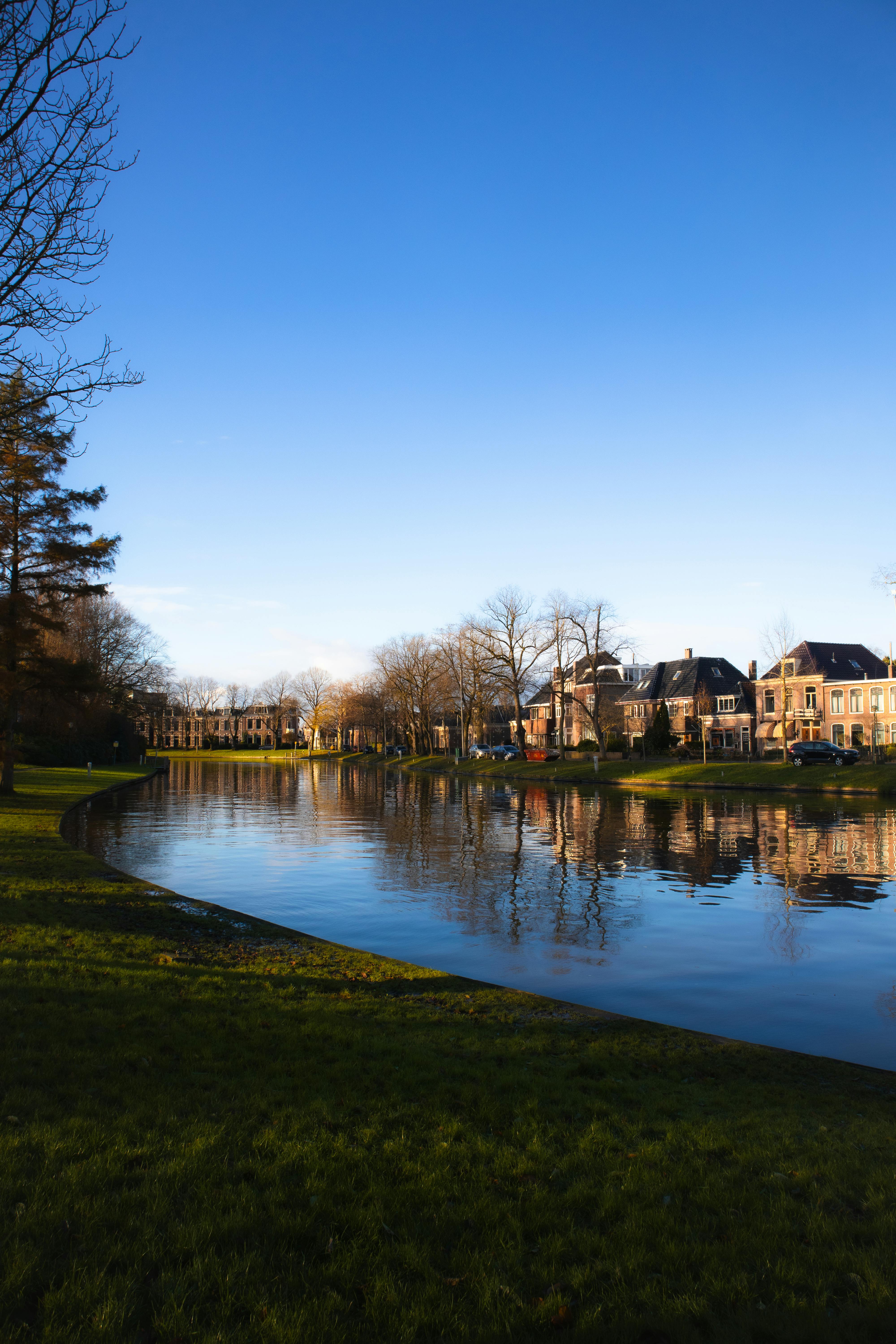 Kostenloses Foto zum Thema: bäume, fluss, gras, häuser, park, rasen ...