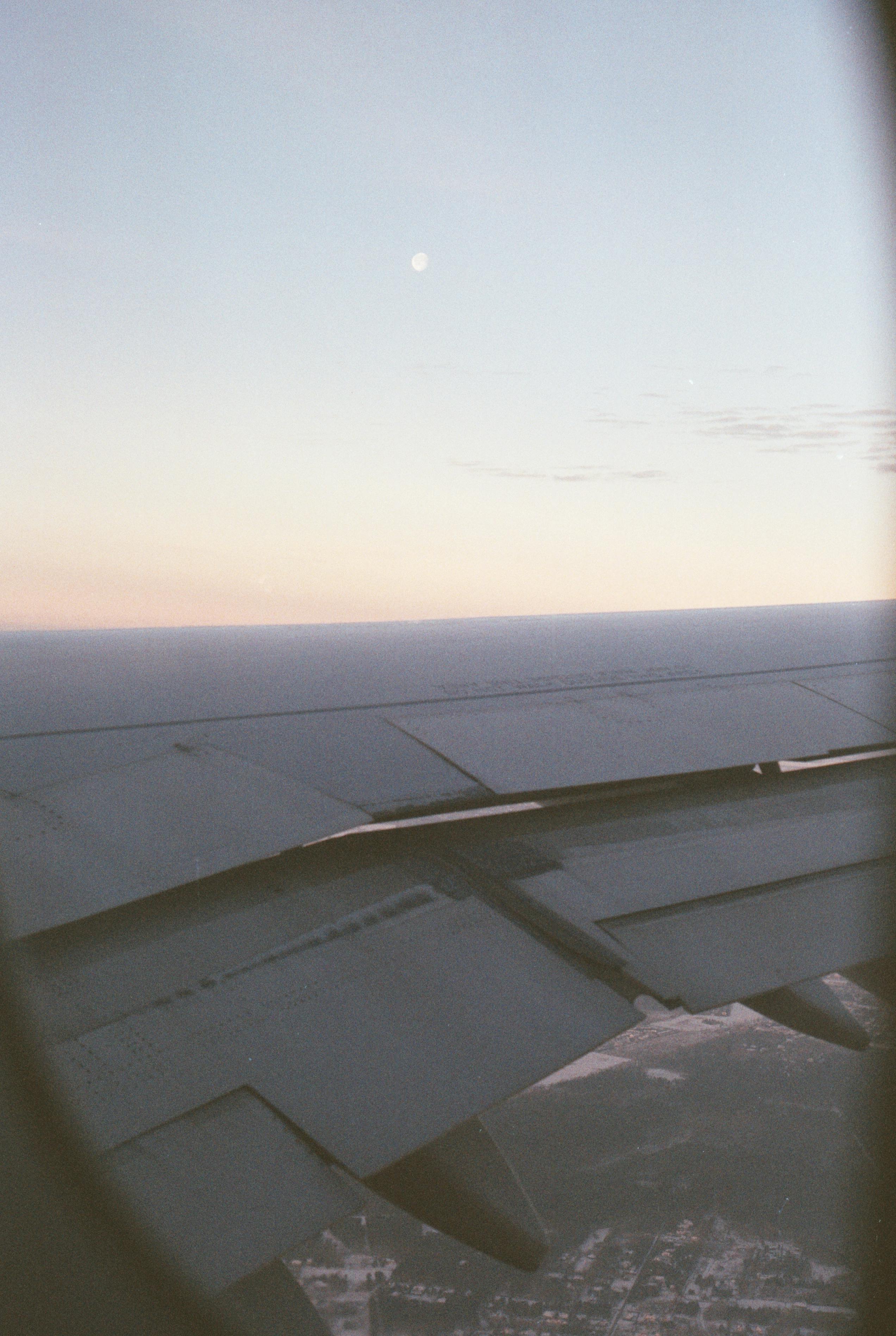 Caret Wing Photos, Download The BEST Free Caret Wing Stock Photos & HD ...