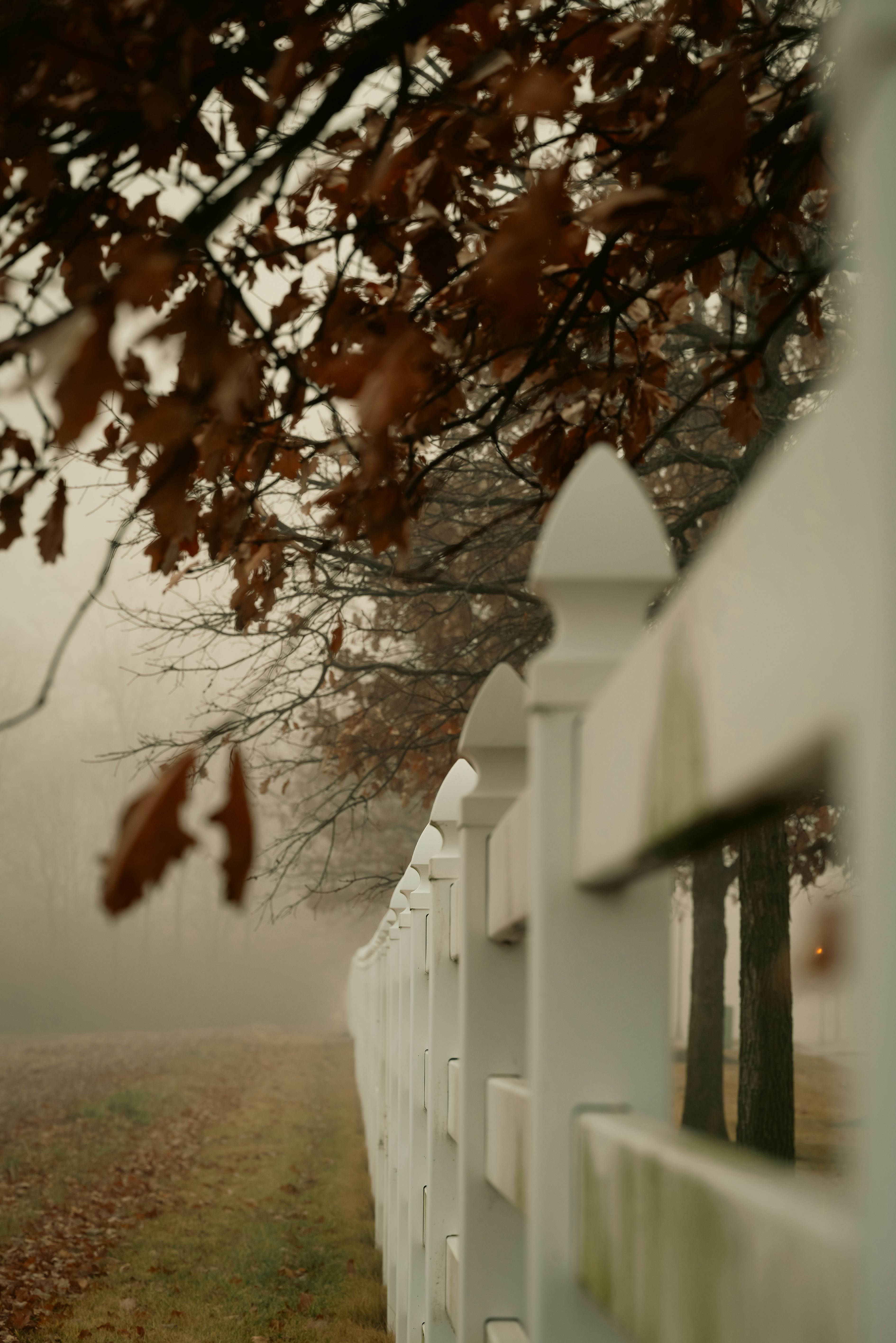 Chris F - Photography