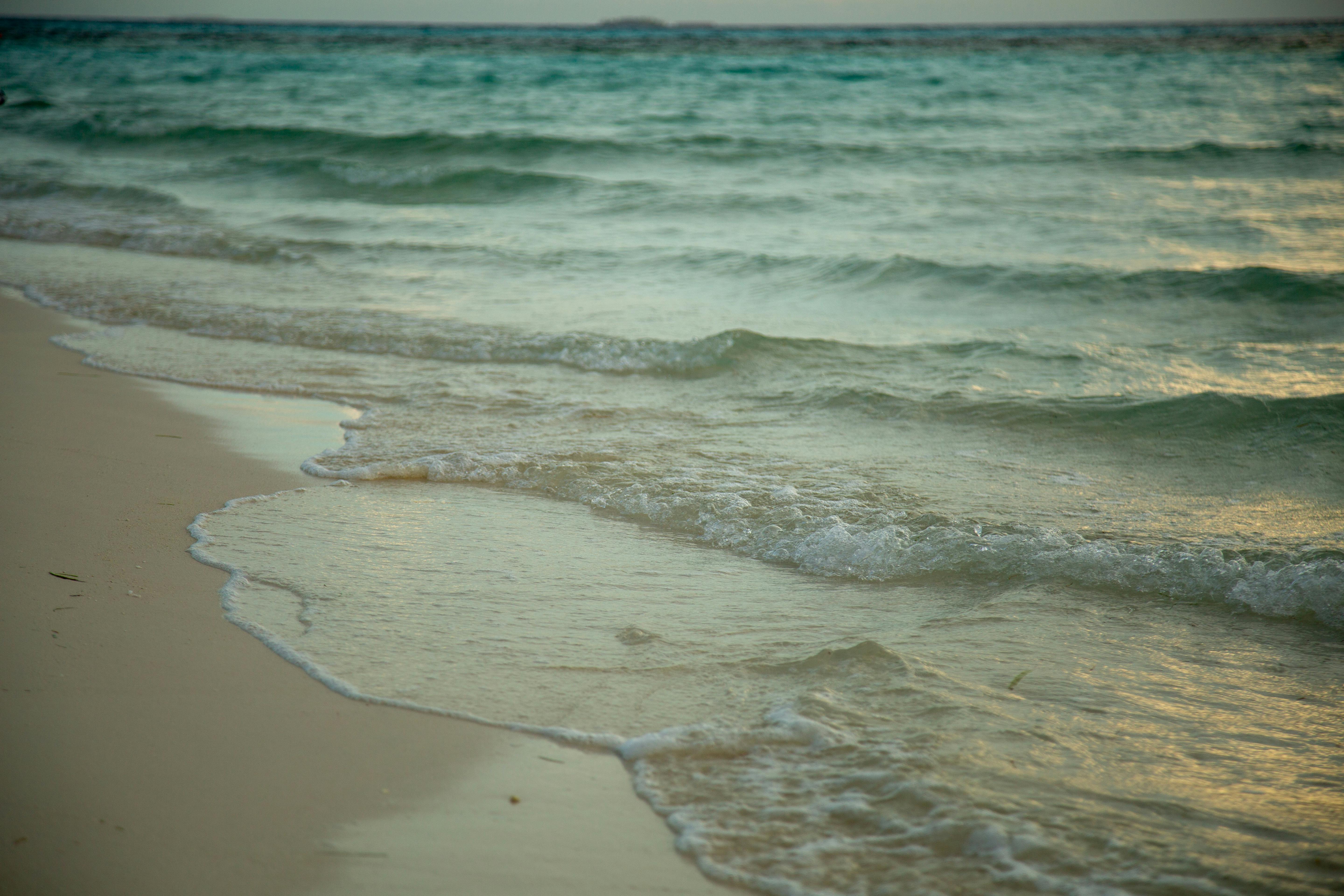 Ingyenes stockfotó ebben a témában: @szabadtéri, árapály, beach, béke ...
