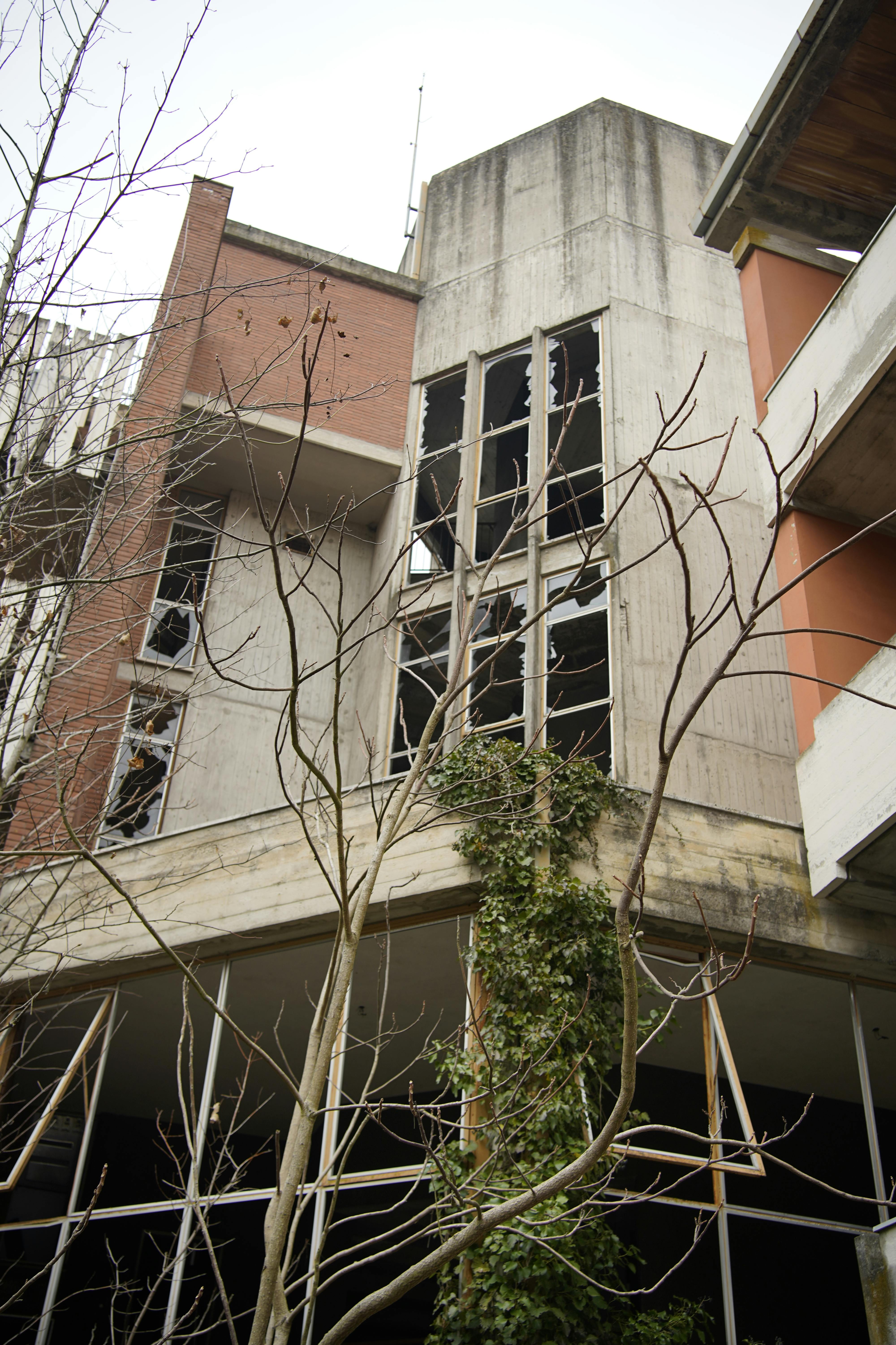 Bare Tree and Abandoned Building behind · Free Stock Photo