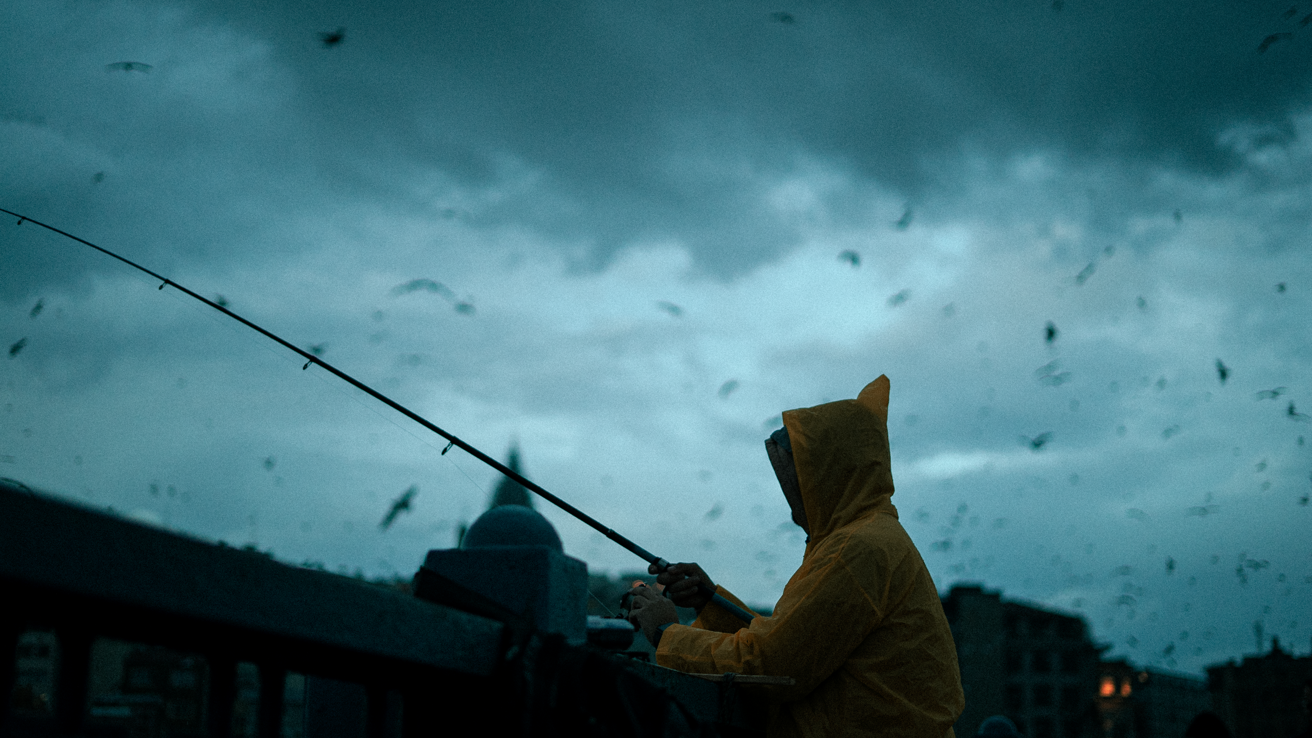 Person Wearing a Raincoat Fishing during a Windy Weather · Free Stock Photo