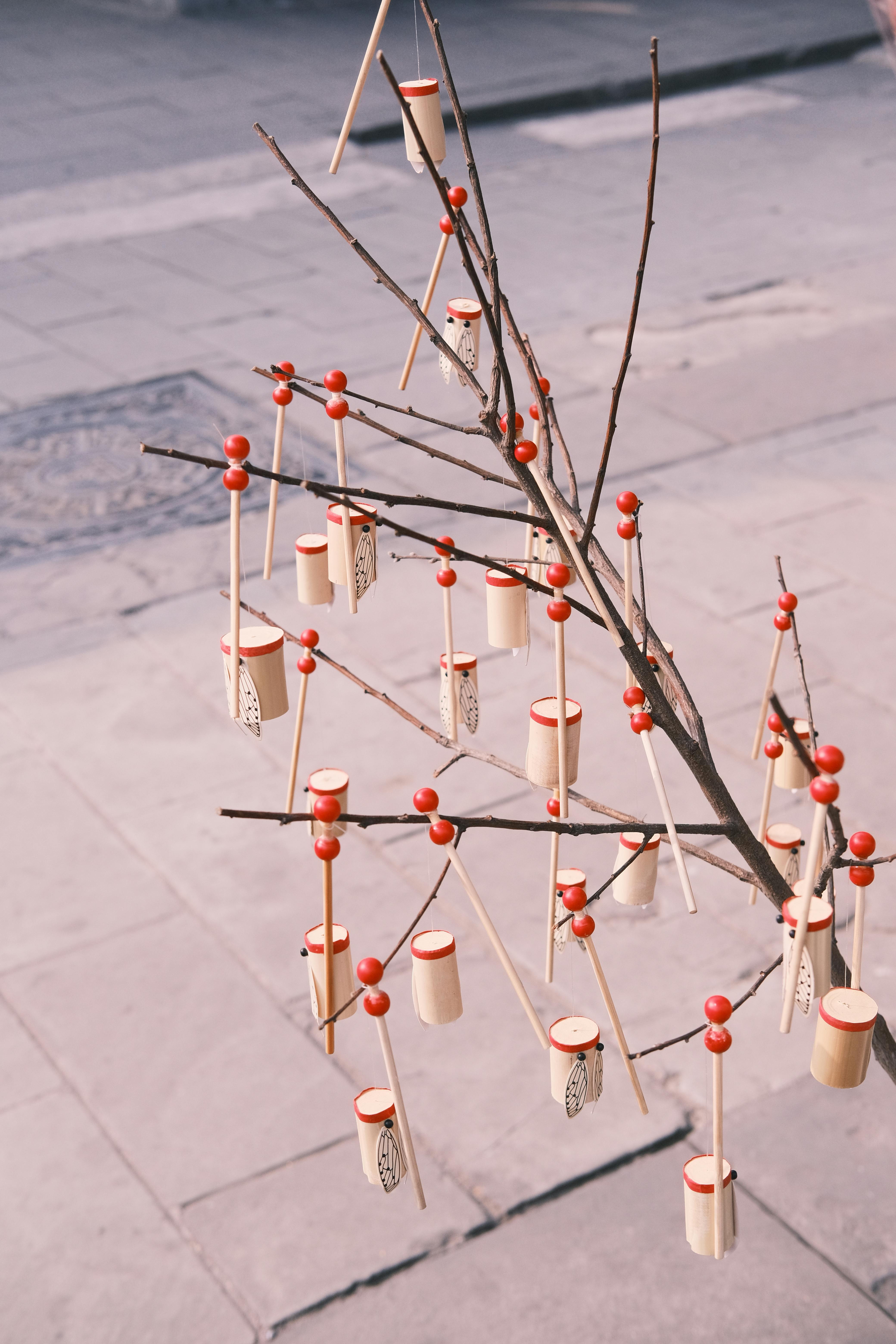 Wood Tabele Photos, Download The BEST Free Wood Tabele Stock Photos ...