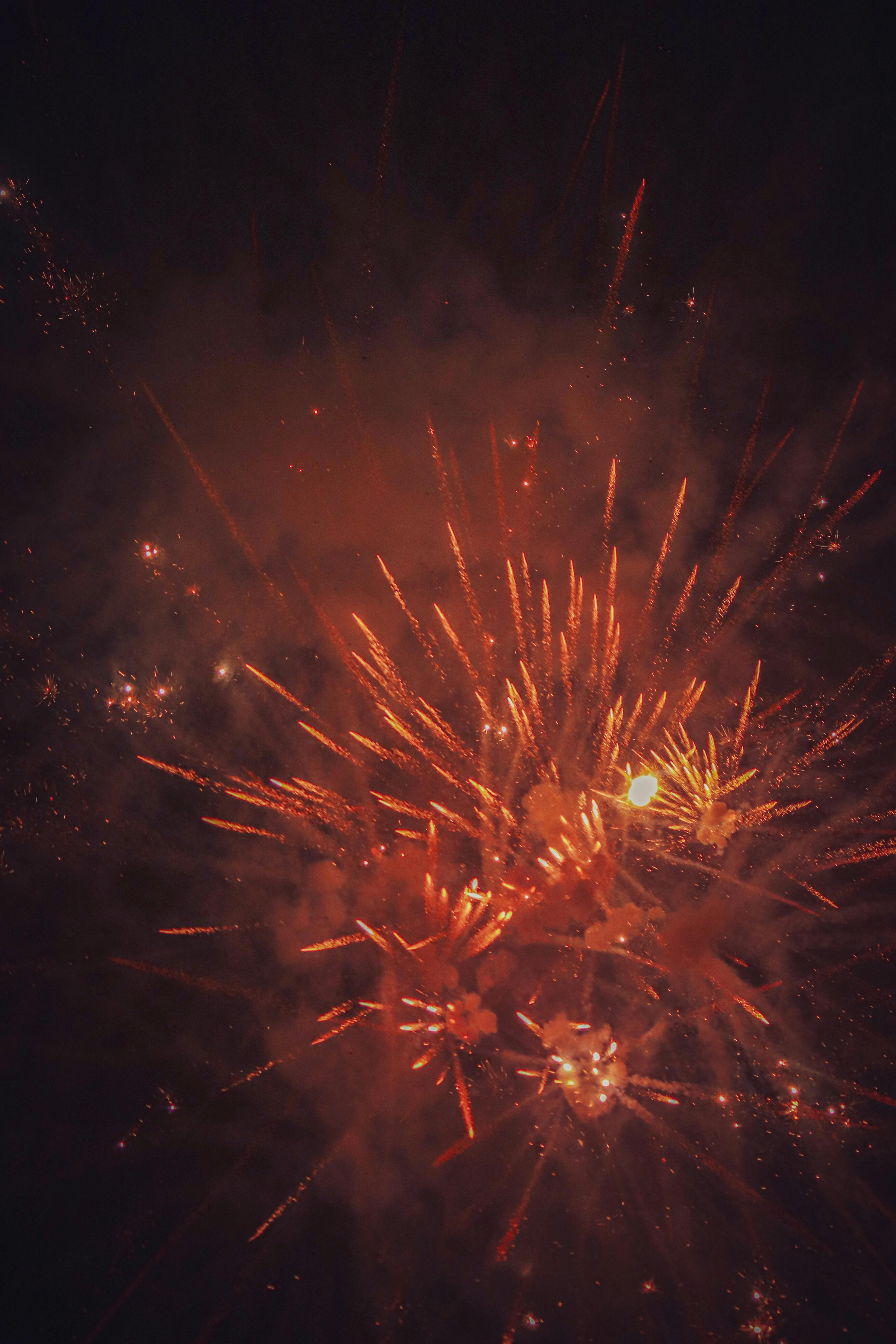 Fireworks Exploding at Night · Free Stock Photo