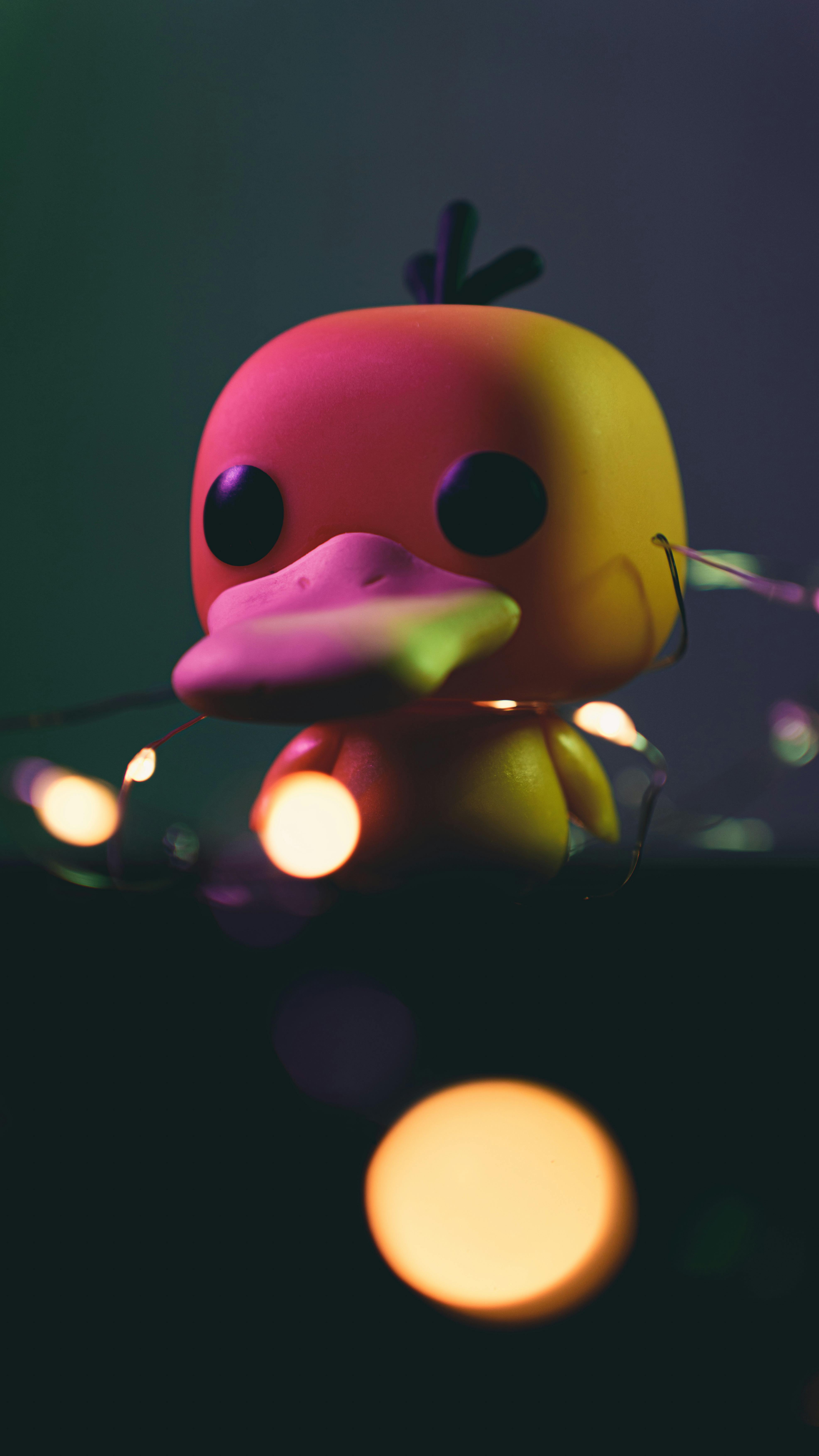 TimSon Foox - Photography