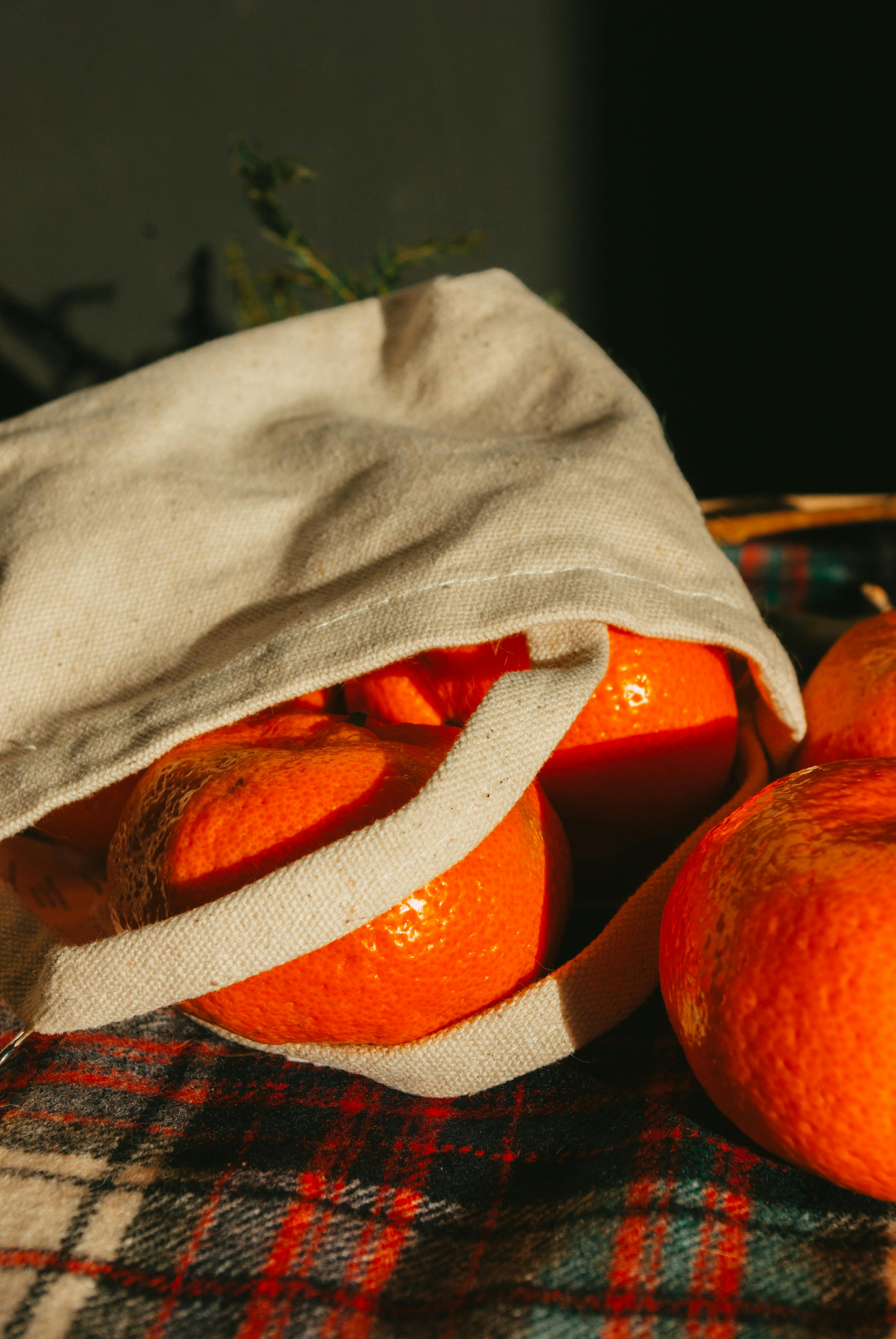Oranges in Bag · Free Stock Photo