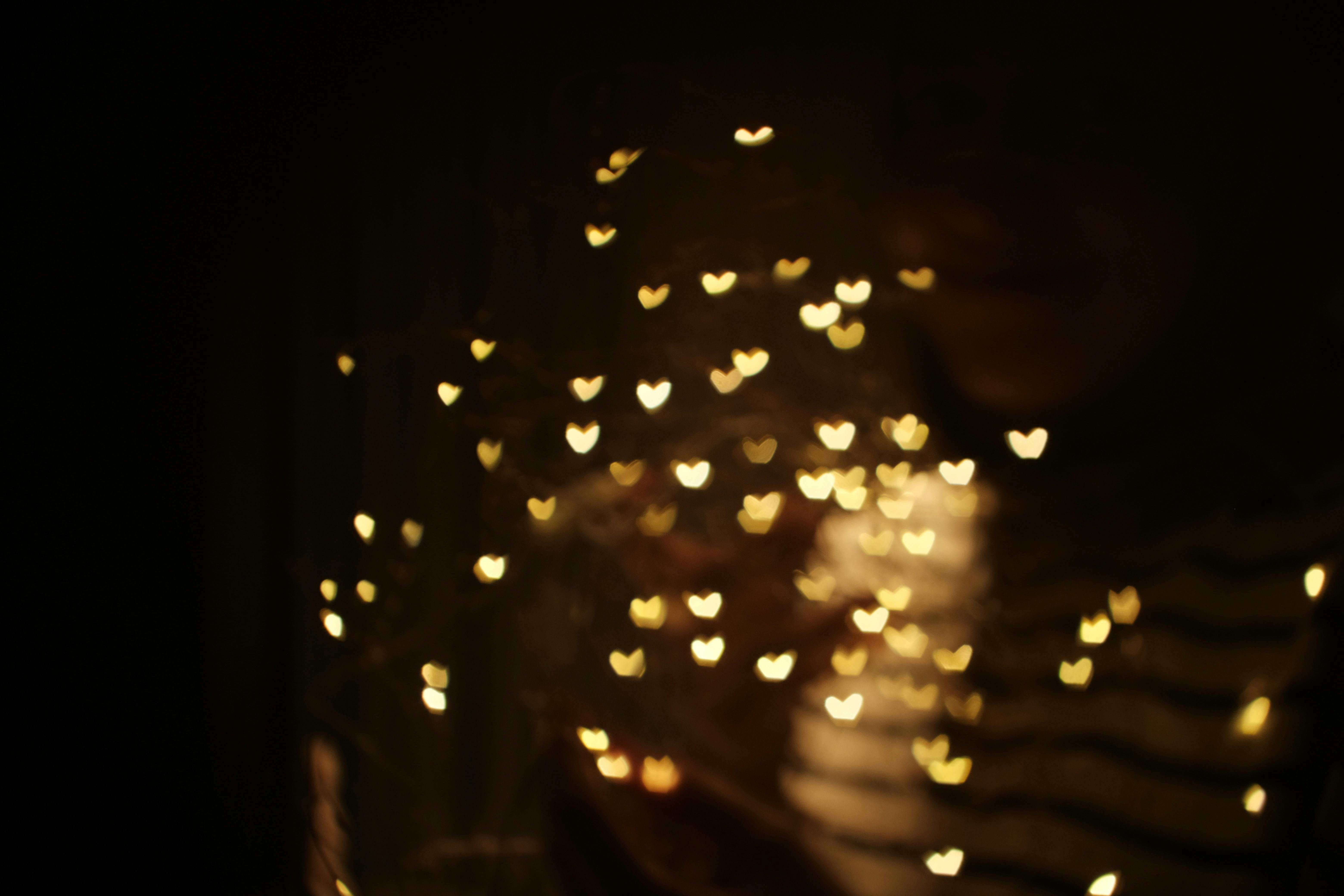 Mirchi Lights Photos, Download The BEST Free Mirchi Lights Stock Photos ...