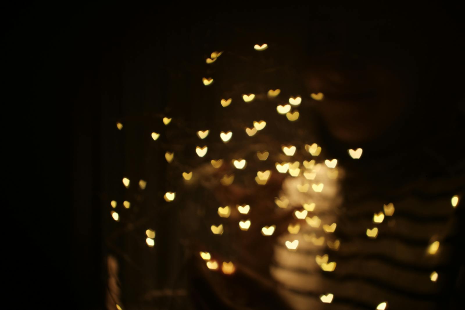 Ambience Photos, Download The BEST Free Ambience Stock Photos & HD Images