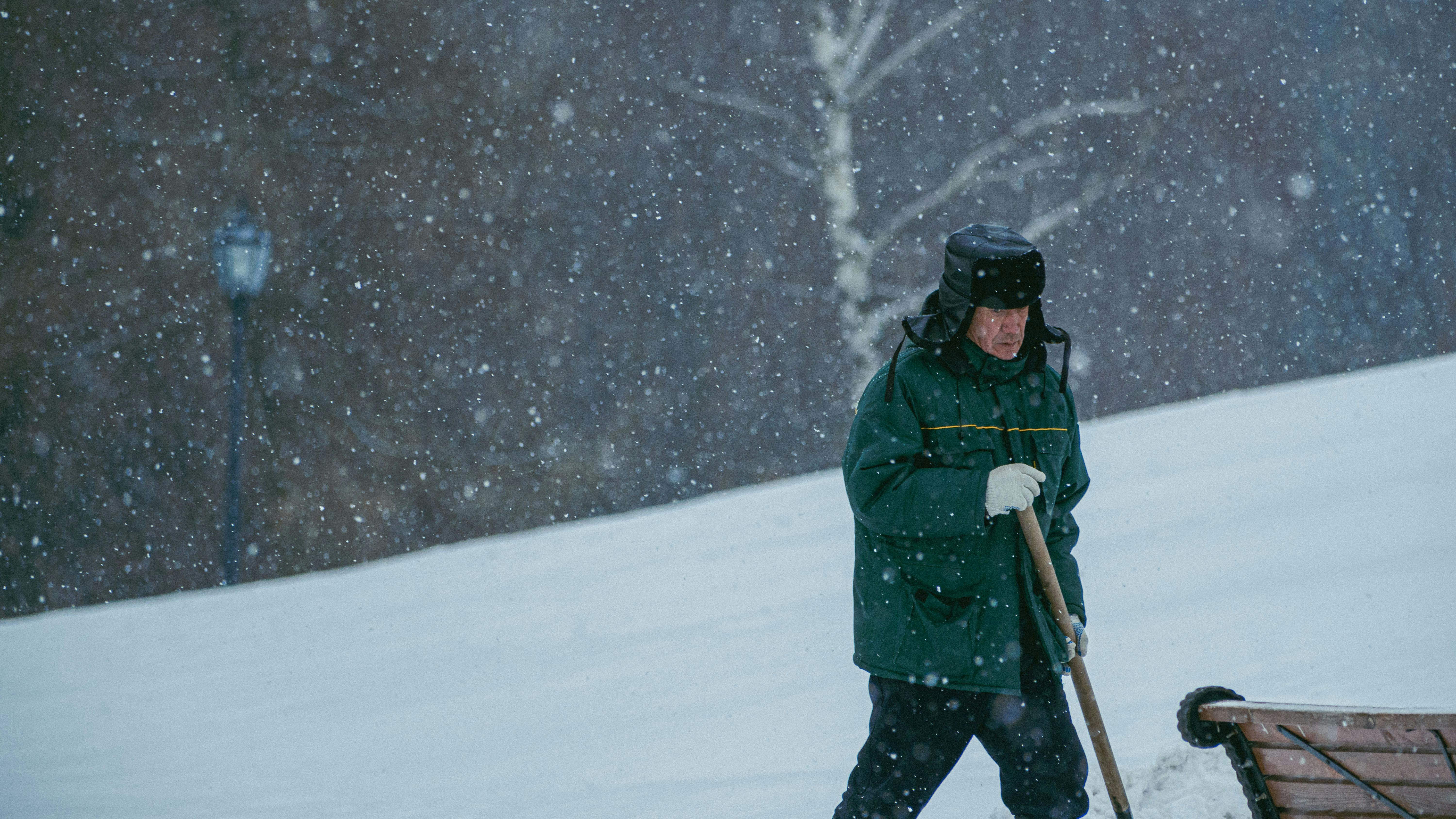 Forest Cleaning Photos, Download The BEST Free Forest Cleaning Stock ...