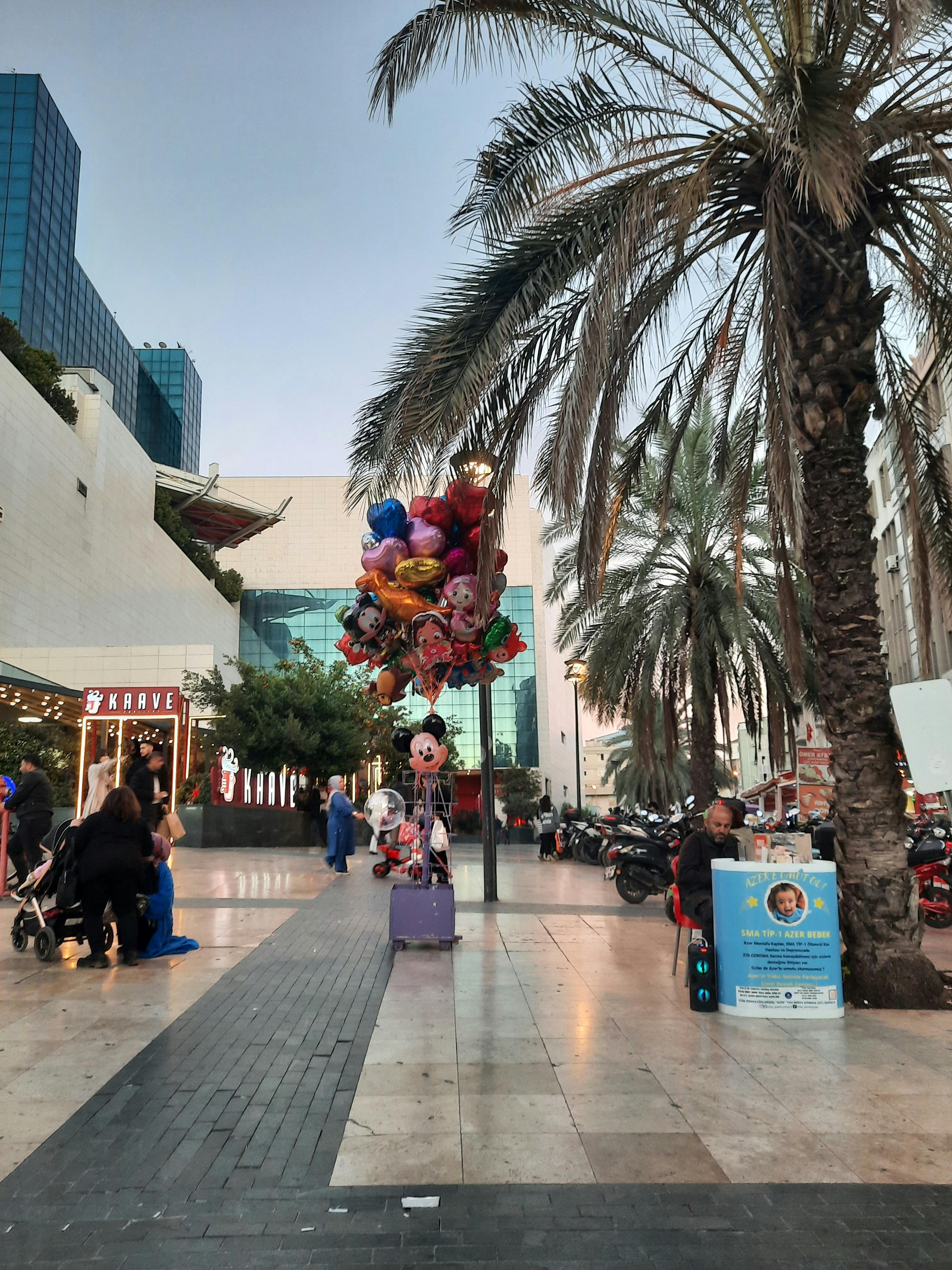 Foto profissional gratuita de ambiente tropical, ambiente urbano, ao ar ...