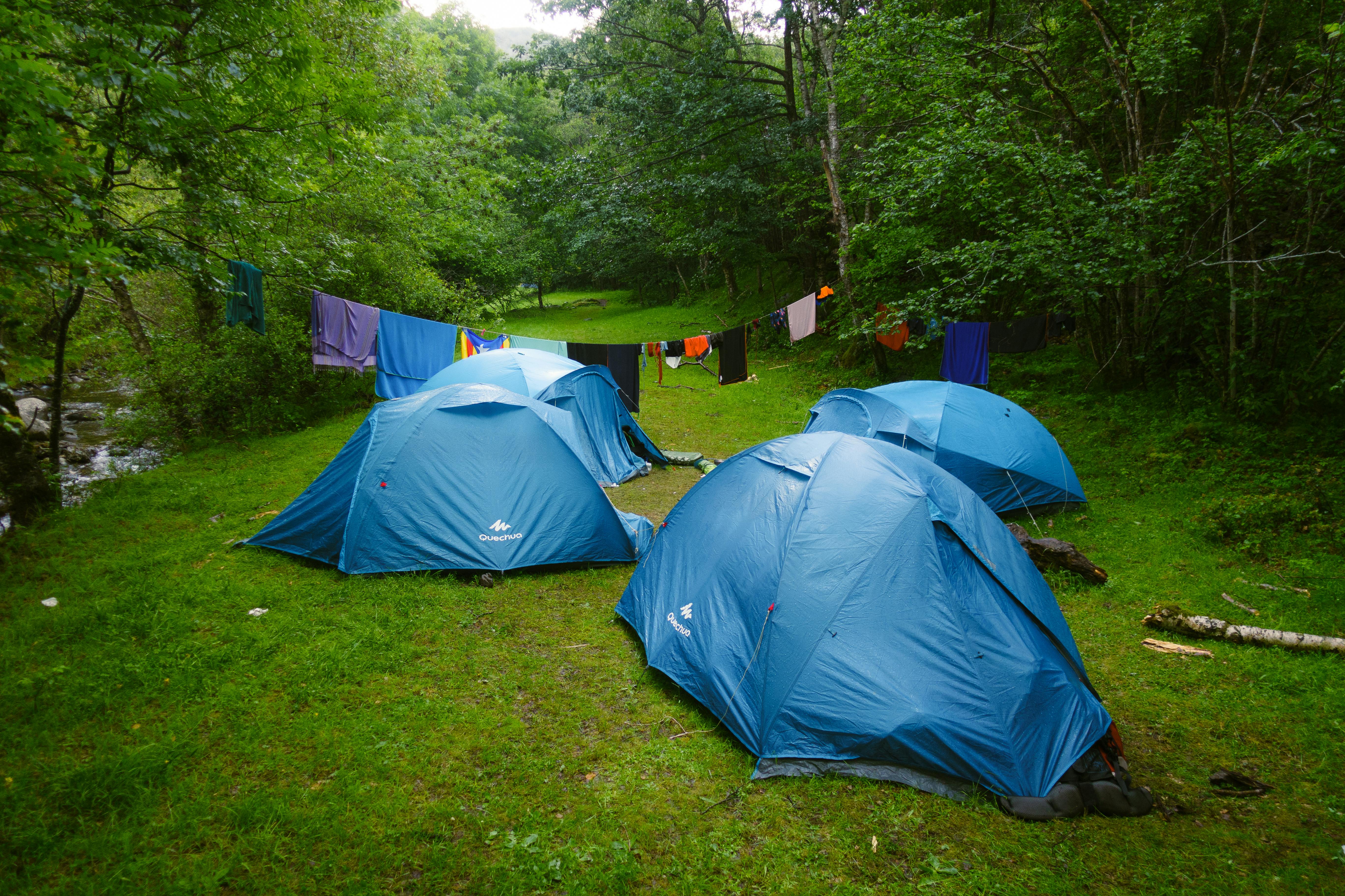 Blue Tents in Forest Campsite · Free Stock Photo