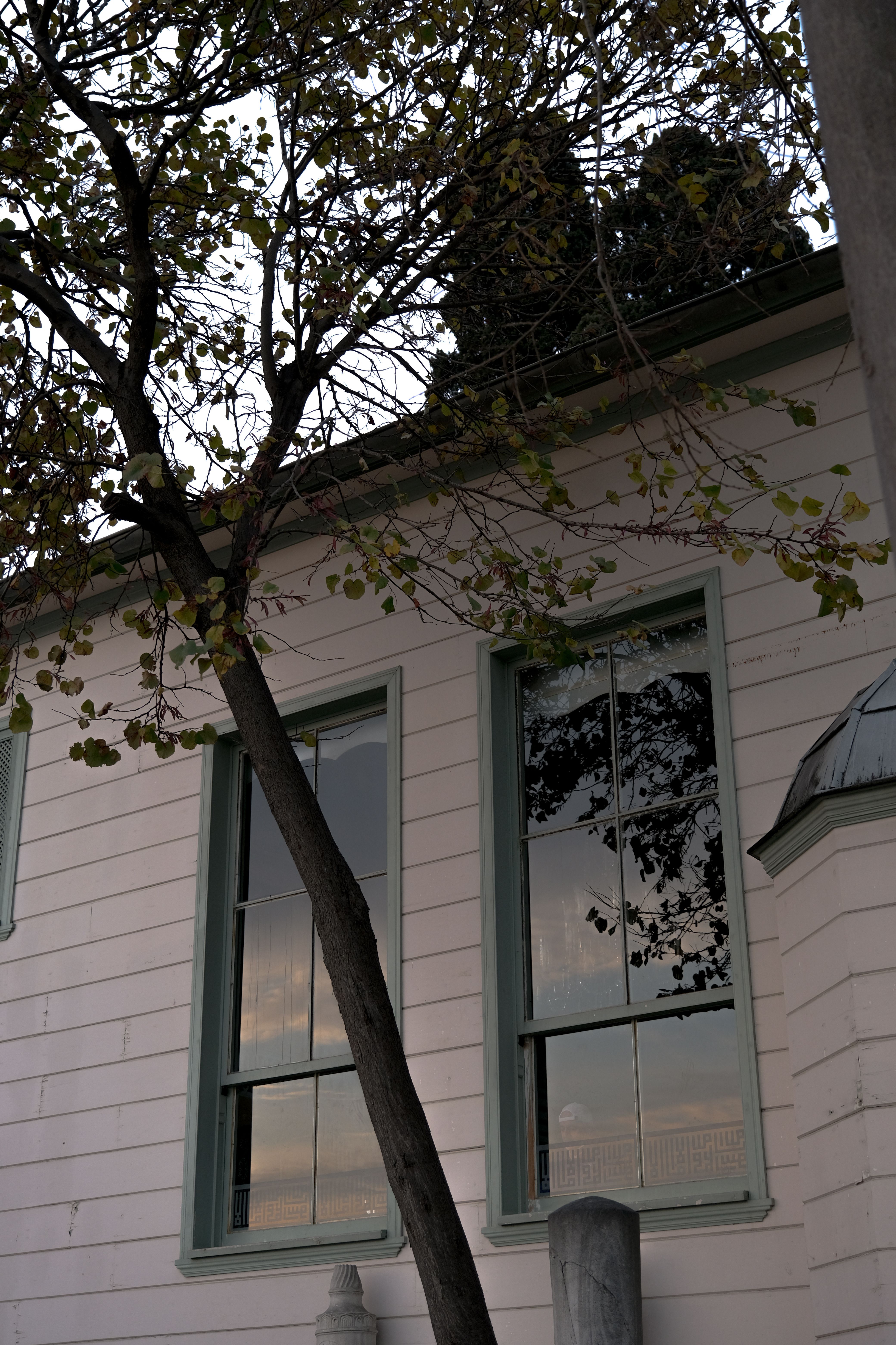Sky and Tree Branches Reflecting in the Windows · Free Stock Photo