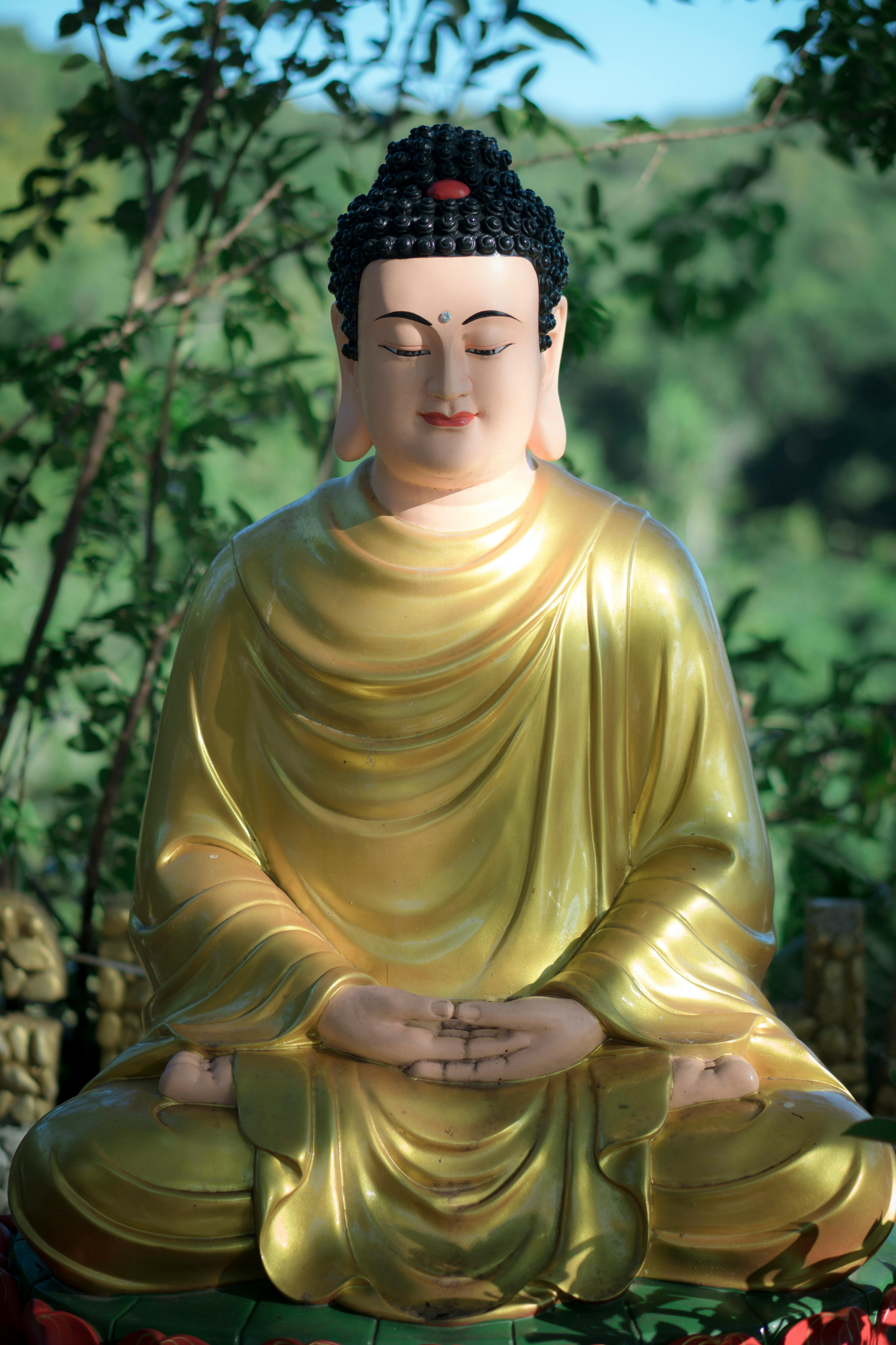 Statue of Sitting Buddha · Free Stock Photo