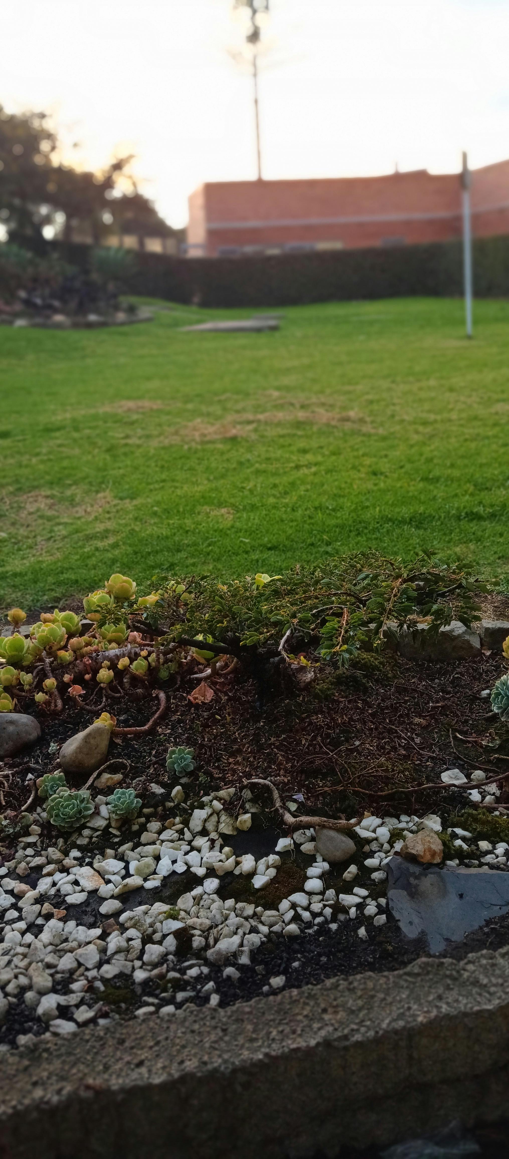 Eduardo Cabrera - 攝影