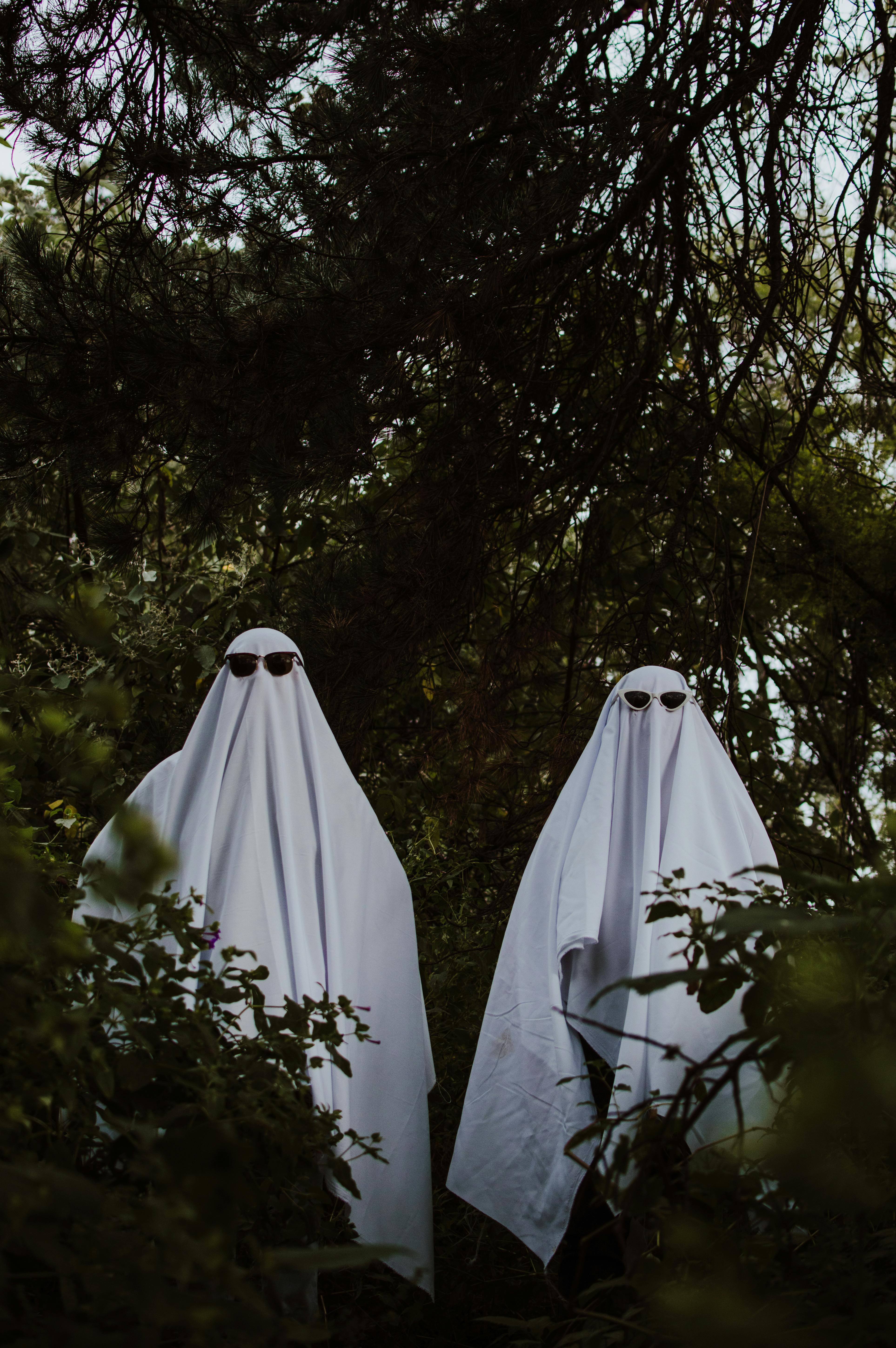 A Ghost in the Forest · Free Stock Photo