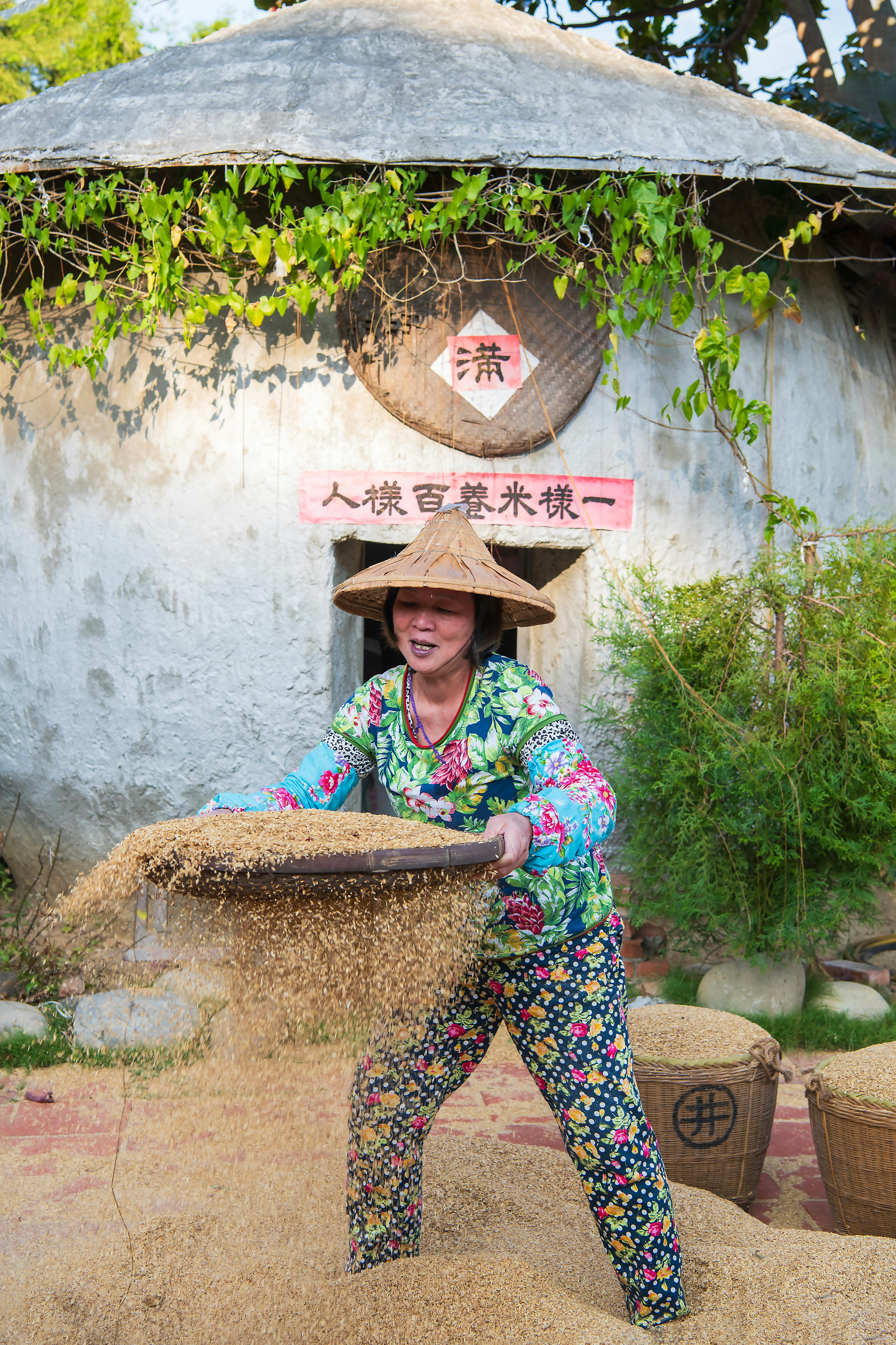 Chinese Woman Sieving Grain · Free Stock Photo