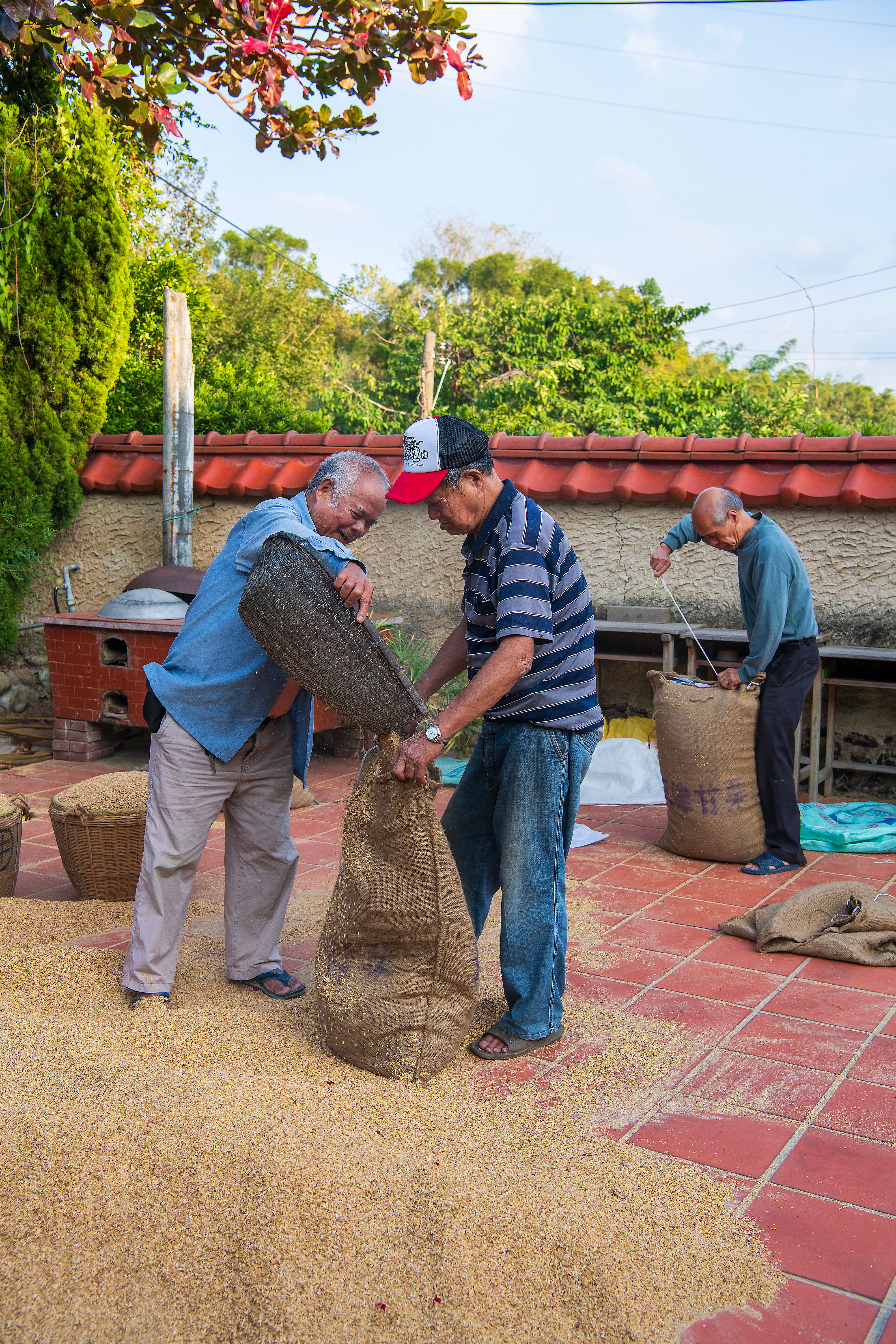 Men Packing Grain Into Jute Sack Bags · Free Stock Photo