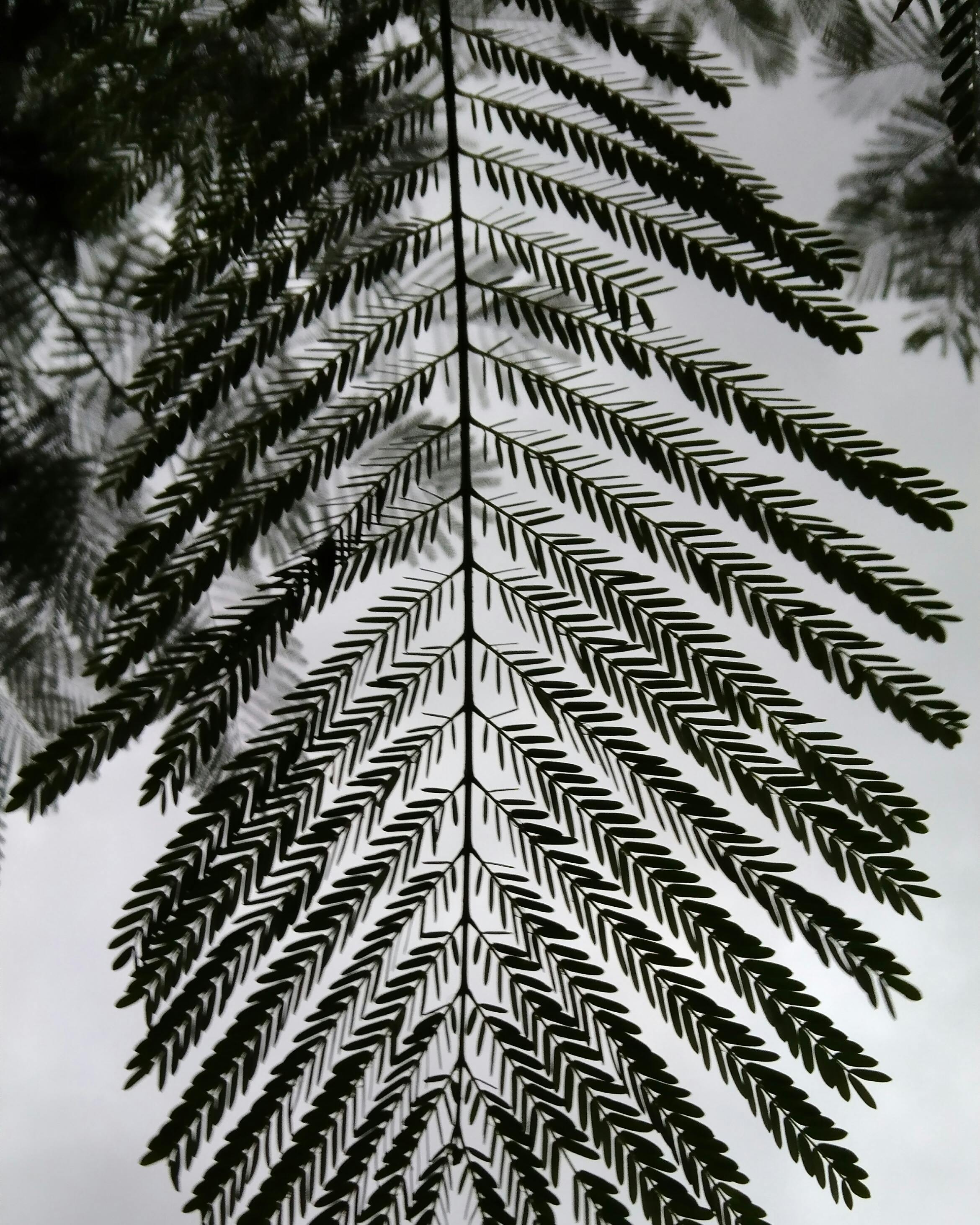 Natural Pattern Photos, Download The BEST Free Natural Pattern Stock ...