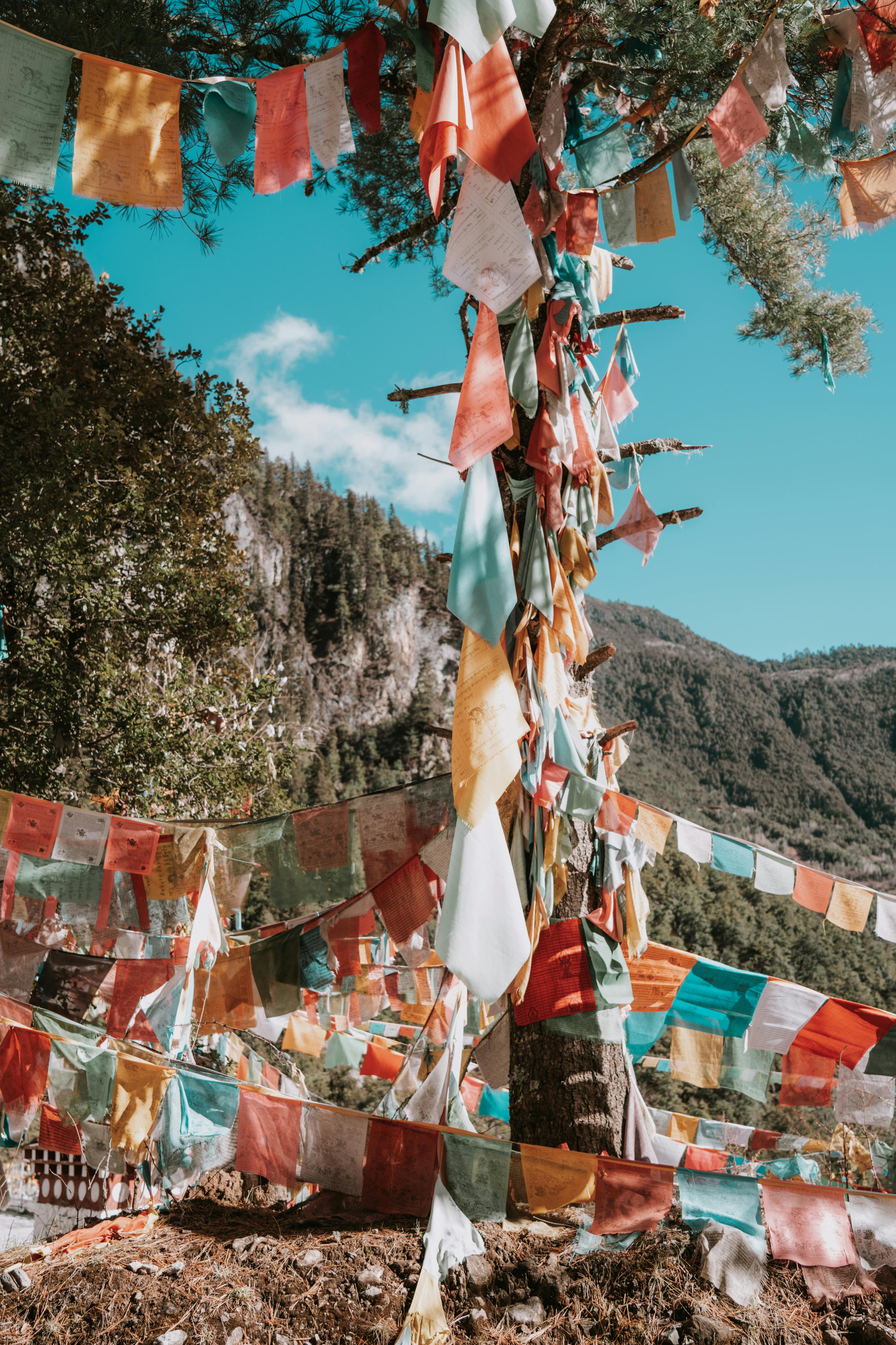 Prayer Flags in Himalayan Mountains · Free Stock Photo