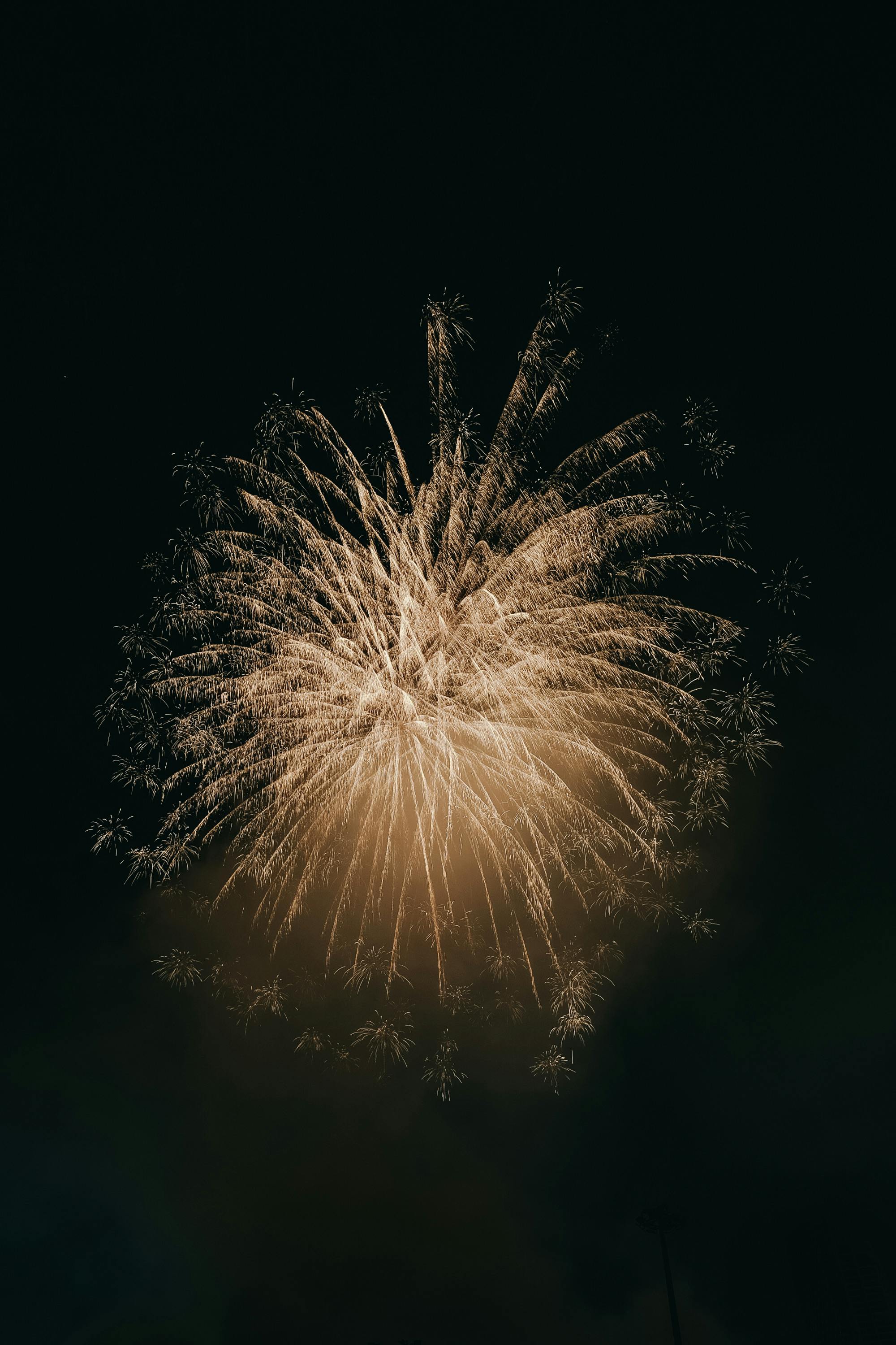 Fireworks in the Night Sky · Free Stock Photo