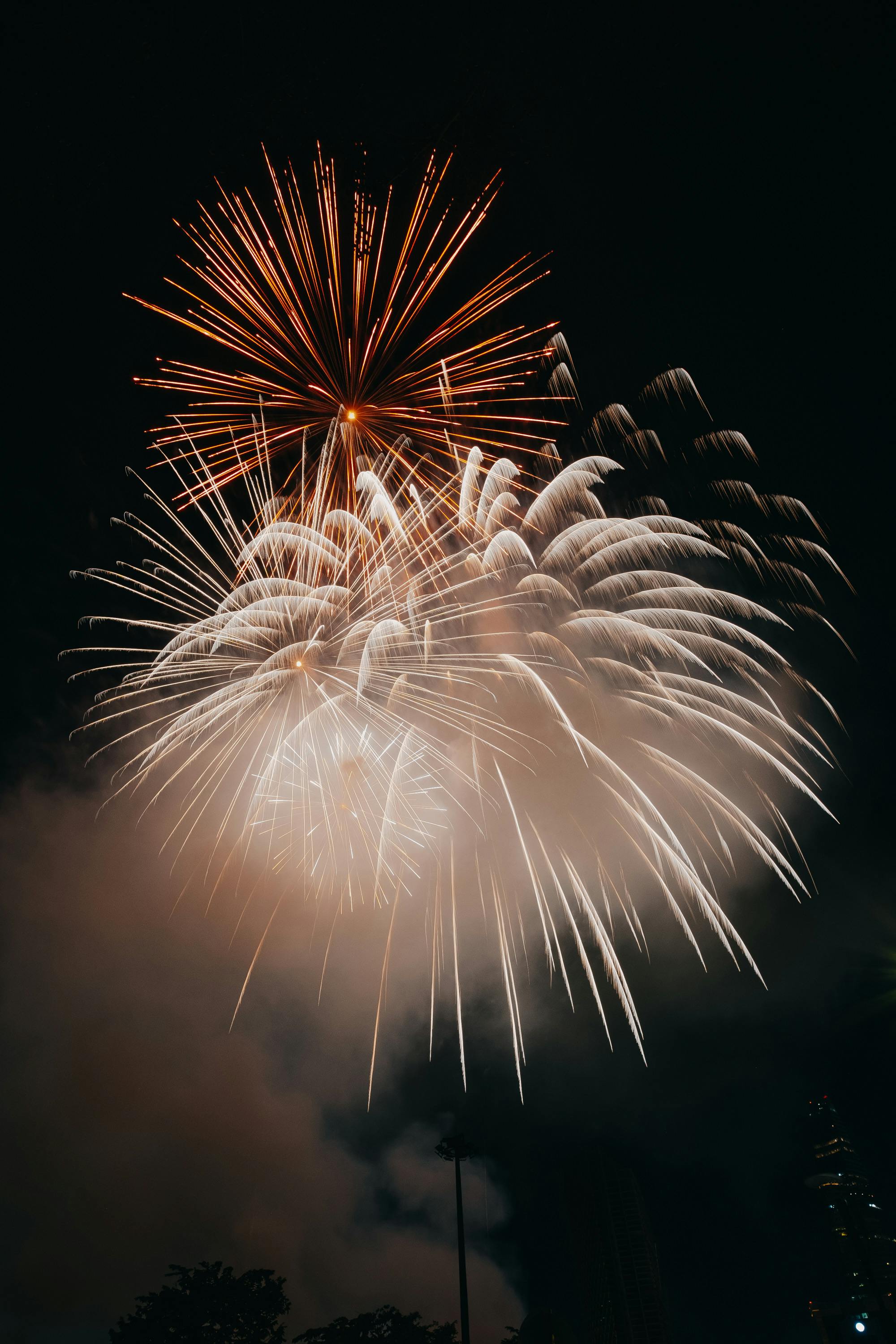 A Firework Display · Free Stock Photo