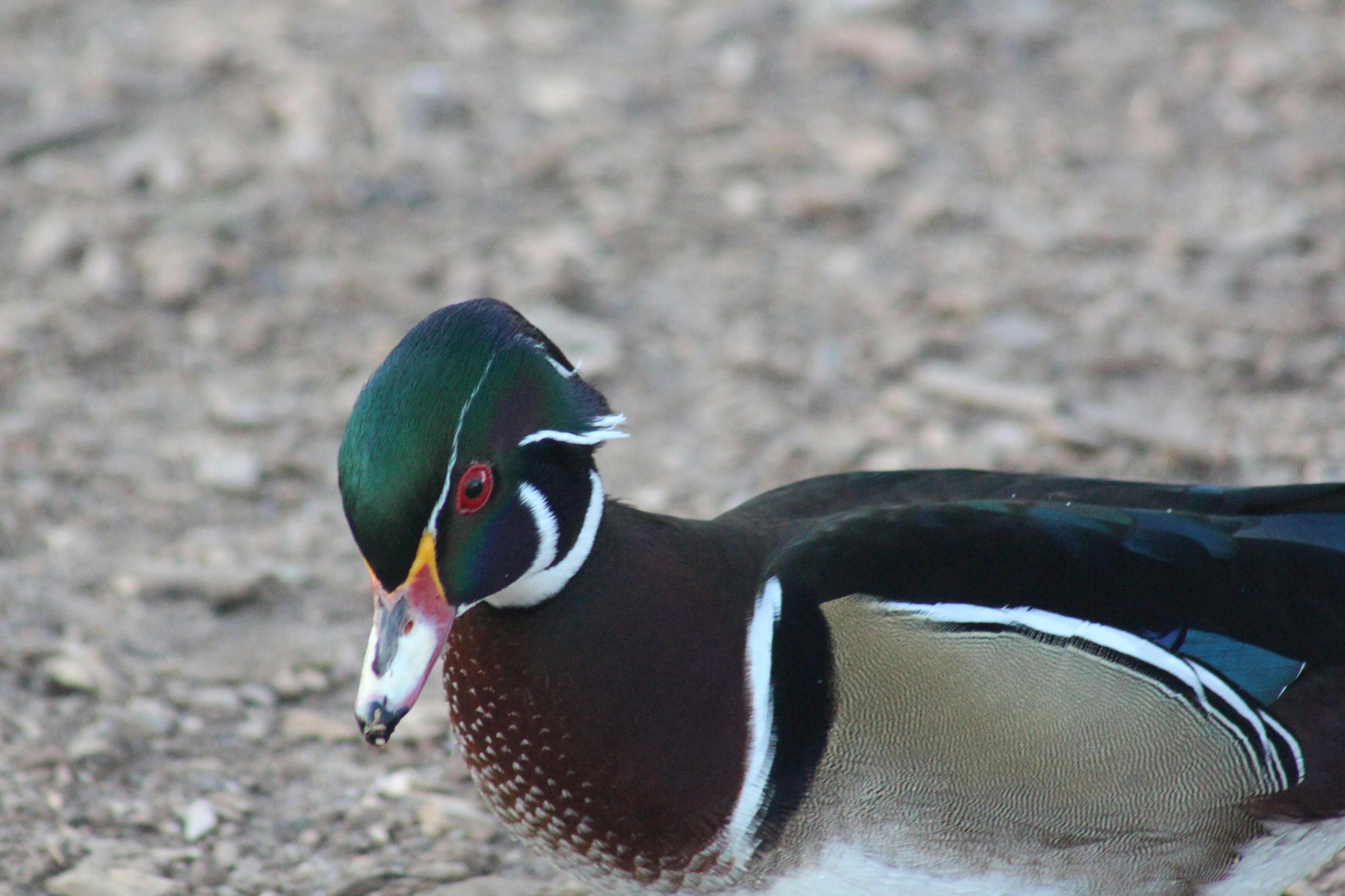 Random Photos – Fotografia