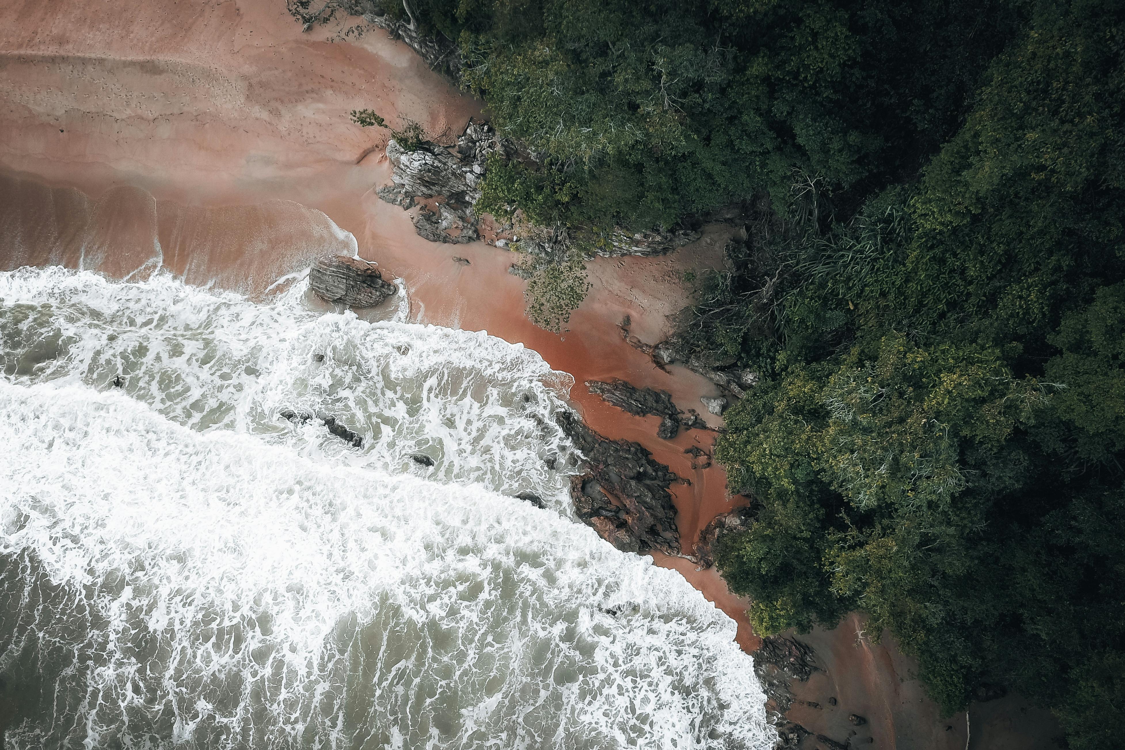 Ocean Bacteria Photos, Download The BEST Free Ocean Bacteria Stock ...