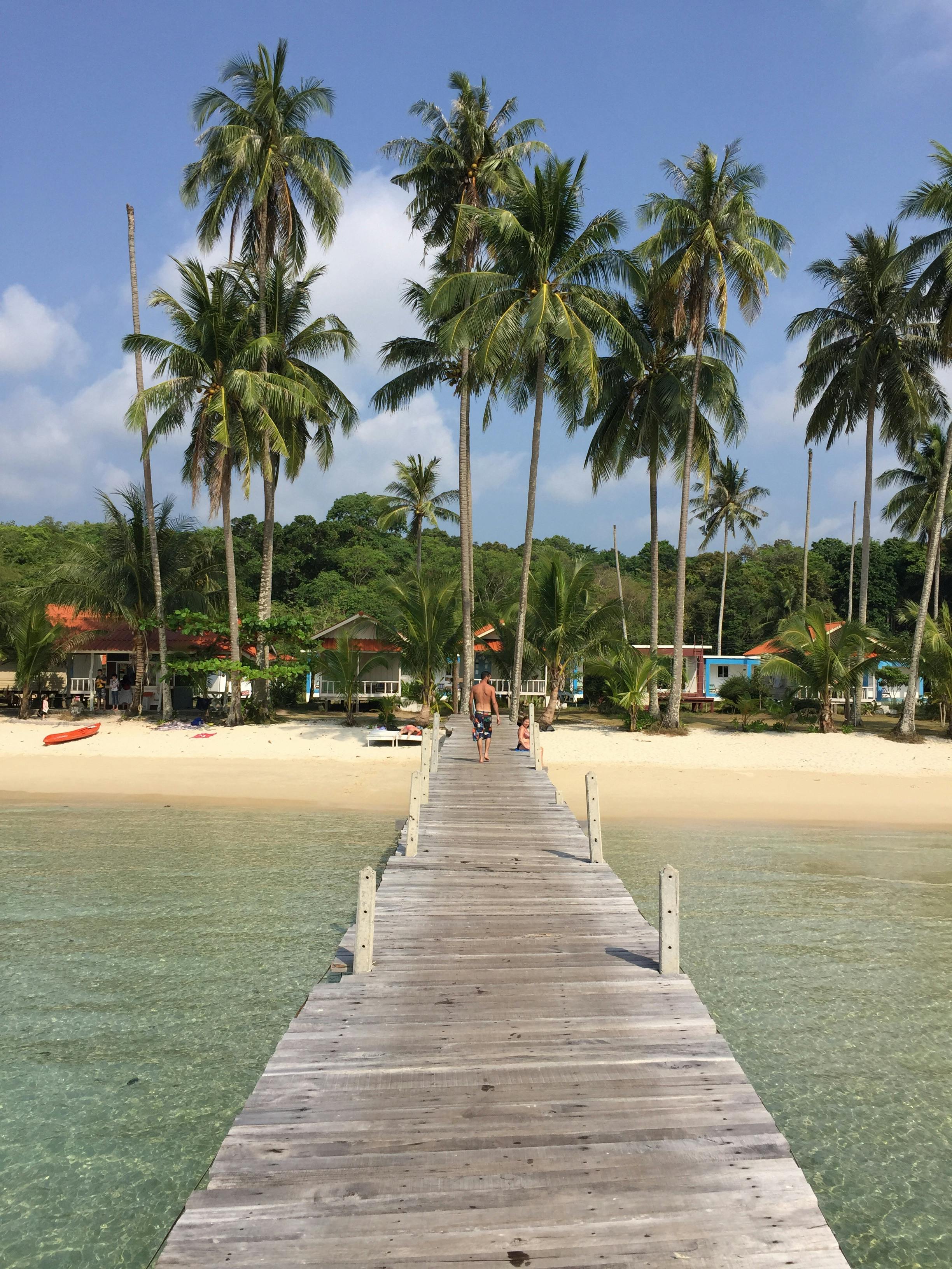 Scenic View of the Beach · Free Stock Photo